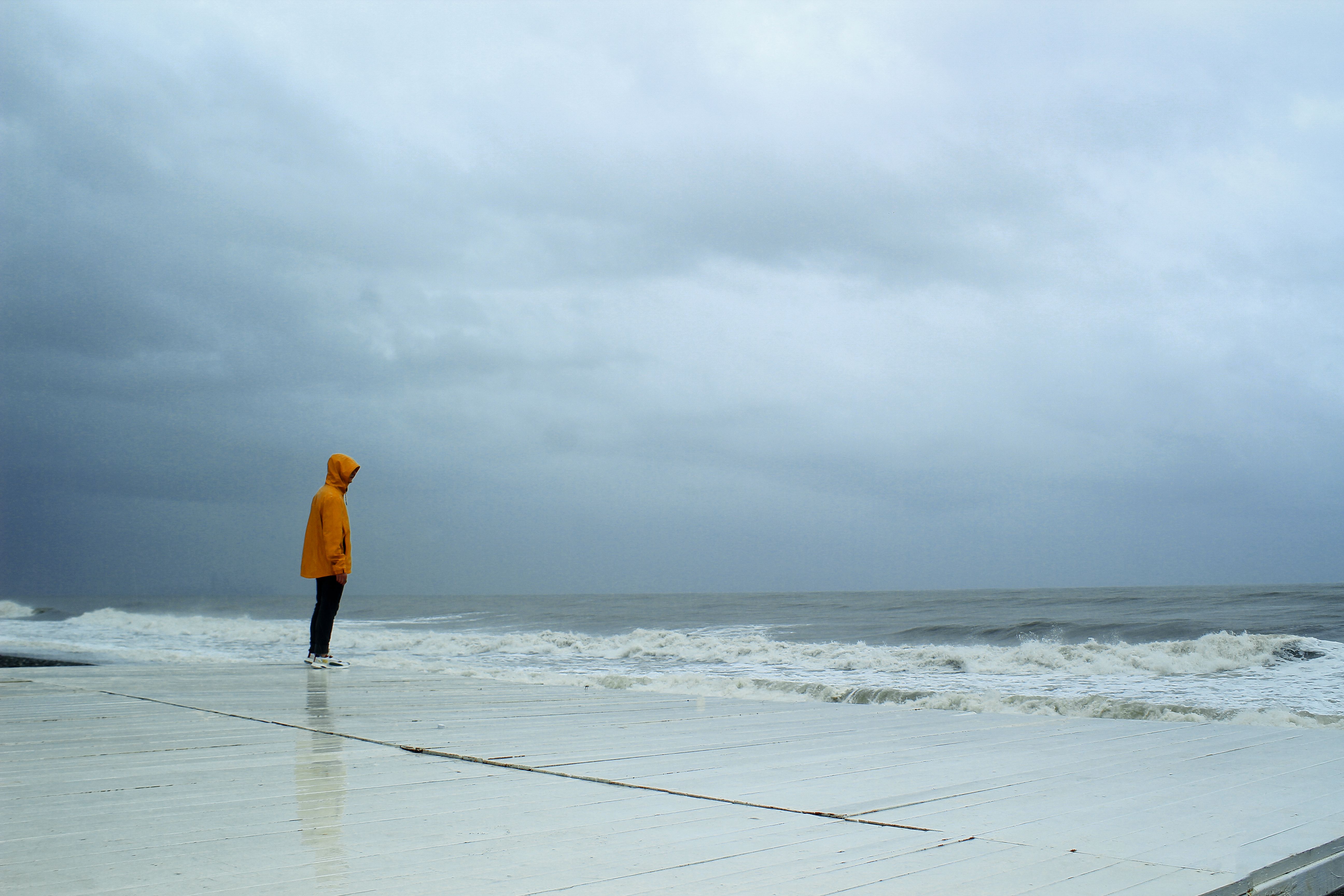 Person Standing on Seashore · Free Stock Photo