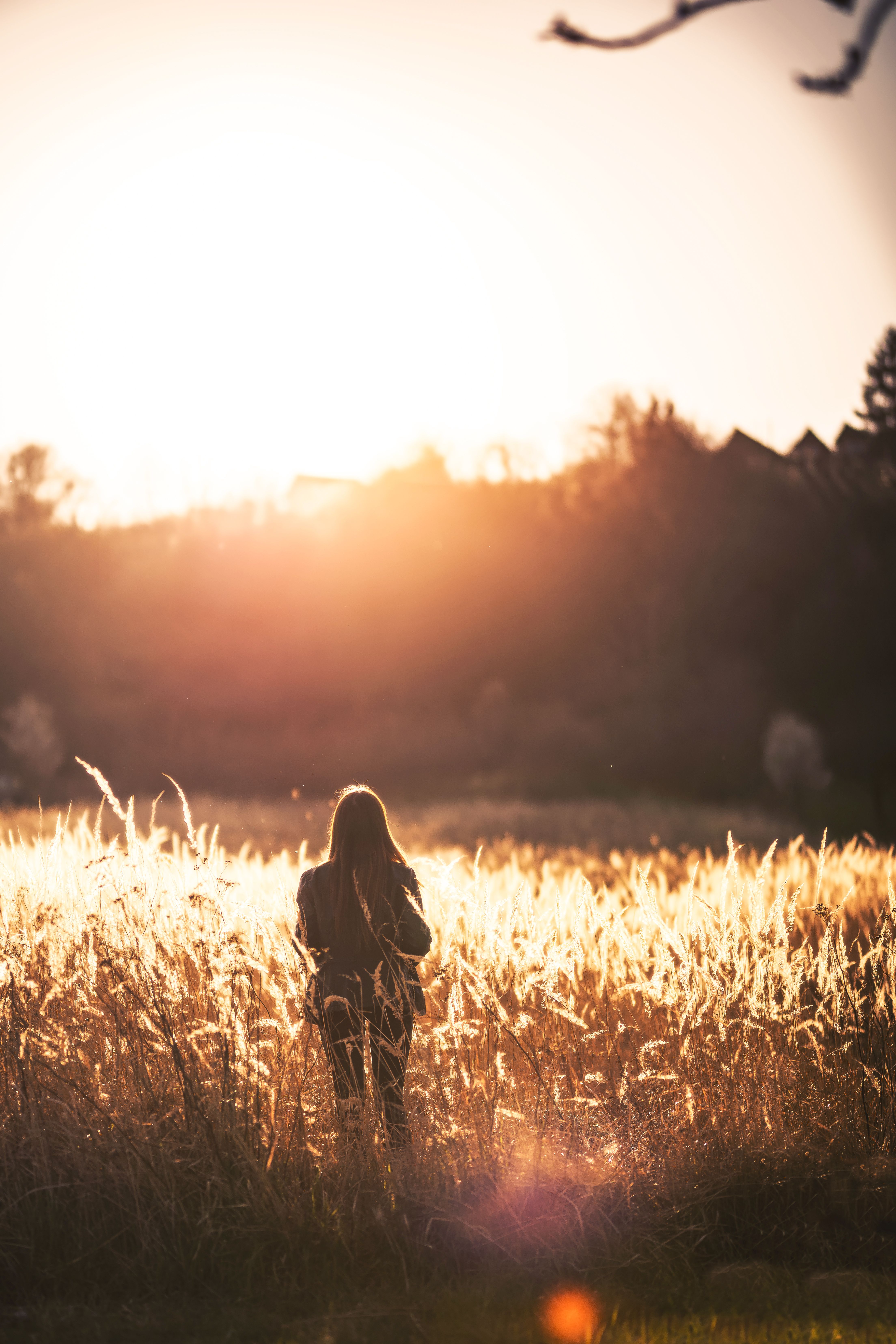 Back View of a Woman Standing in the Field · Free Stock Photo