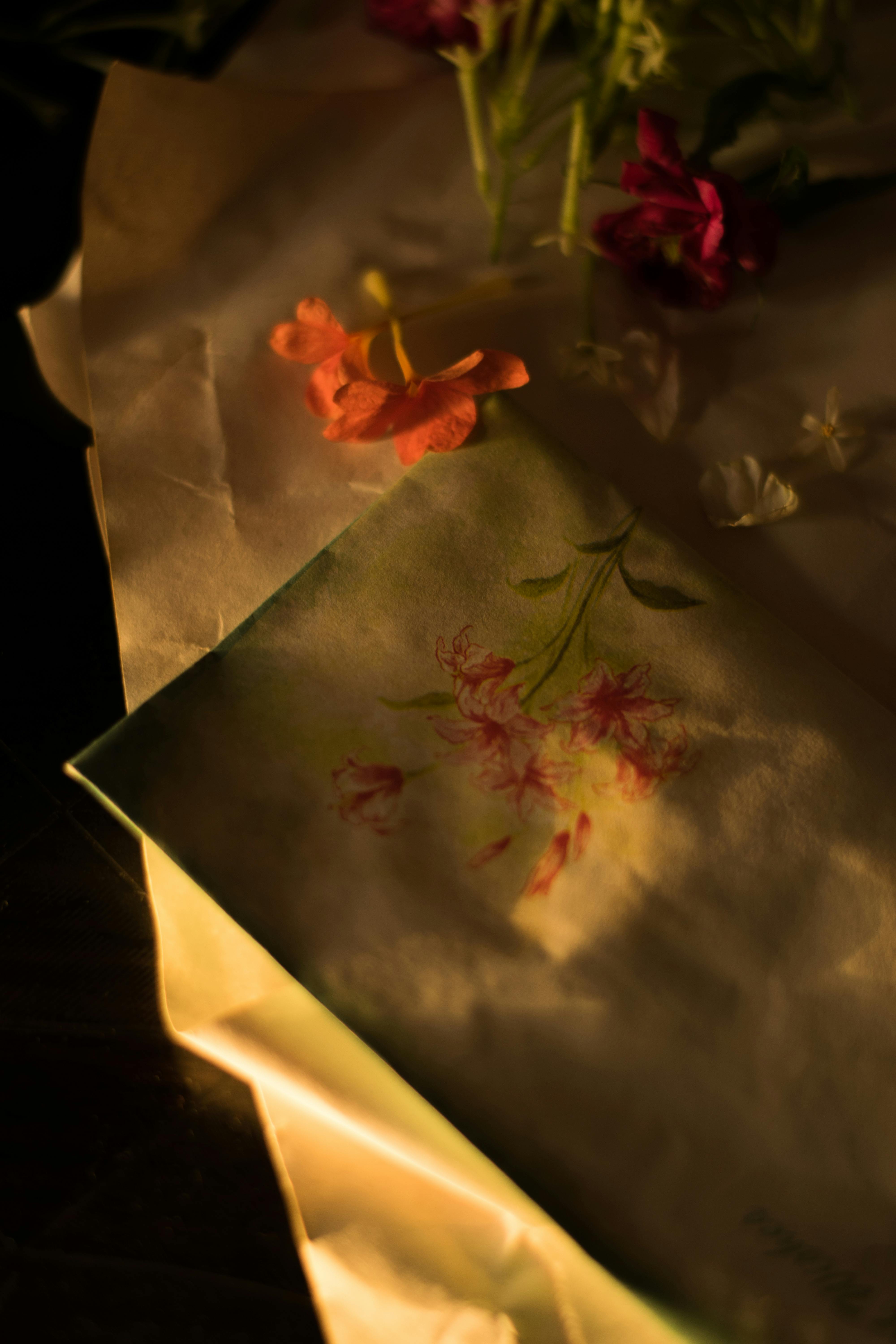 Bright blossoming flower bouquet in parchment paper · Free Stock Photo
