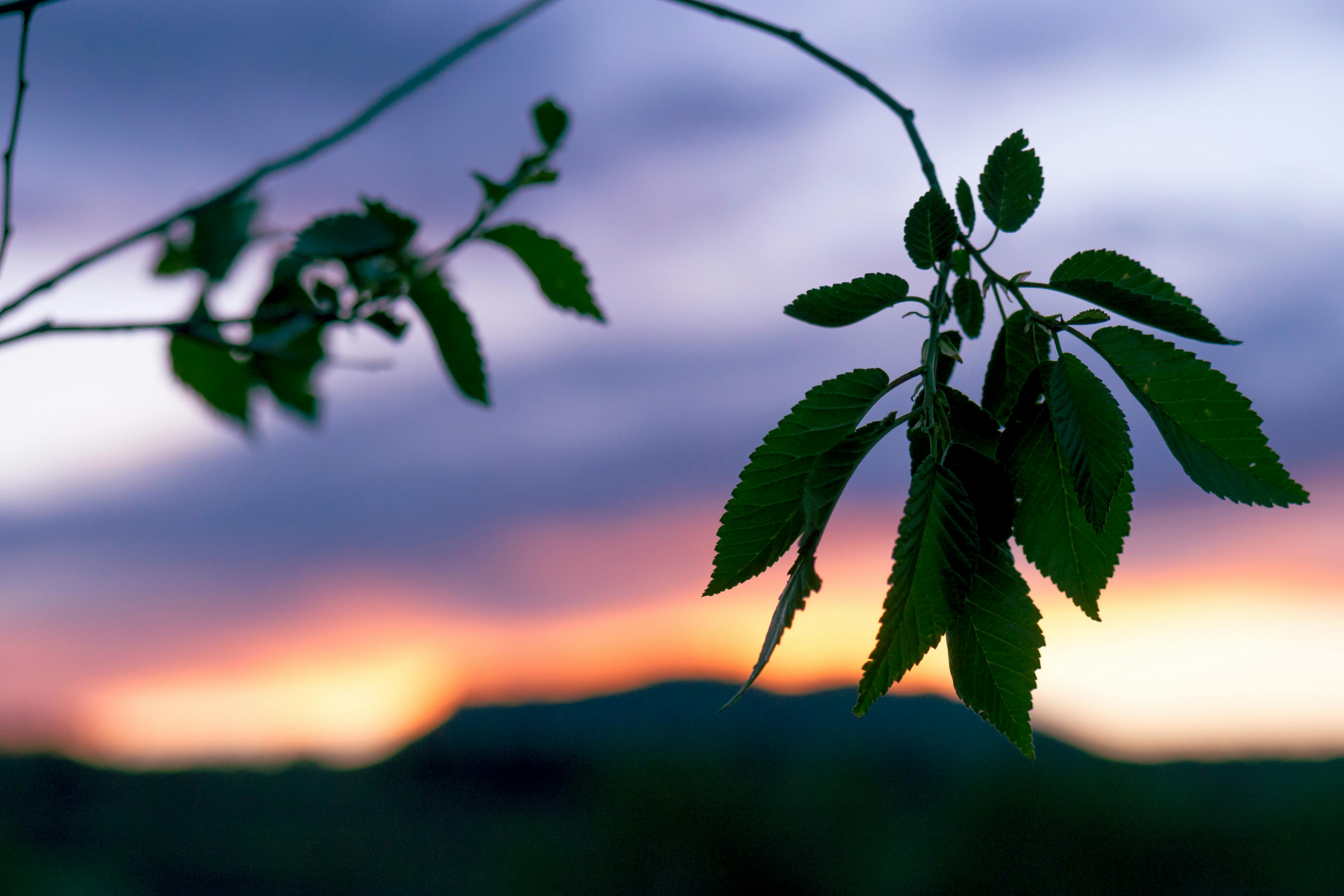 Eric Versaw - 사진