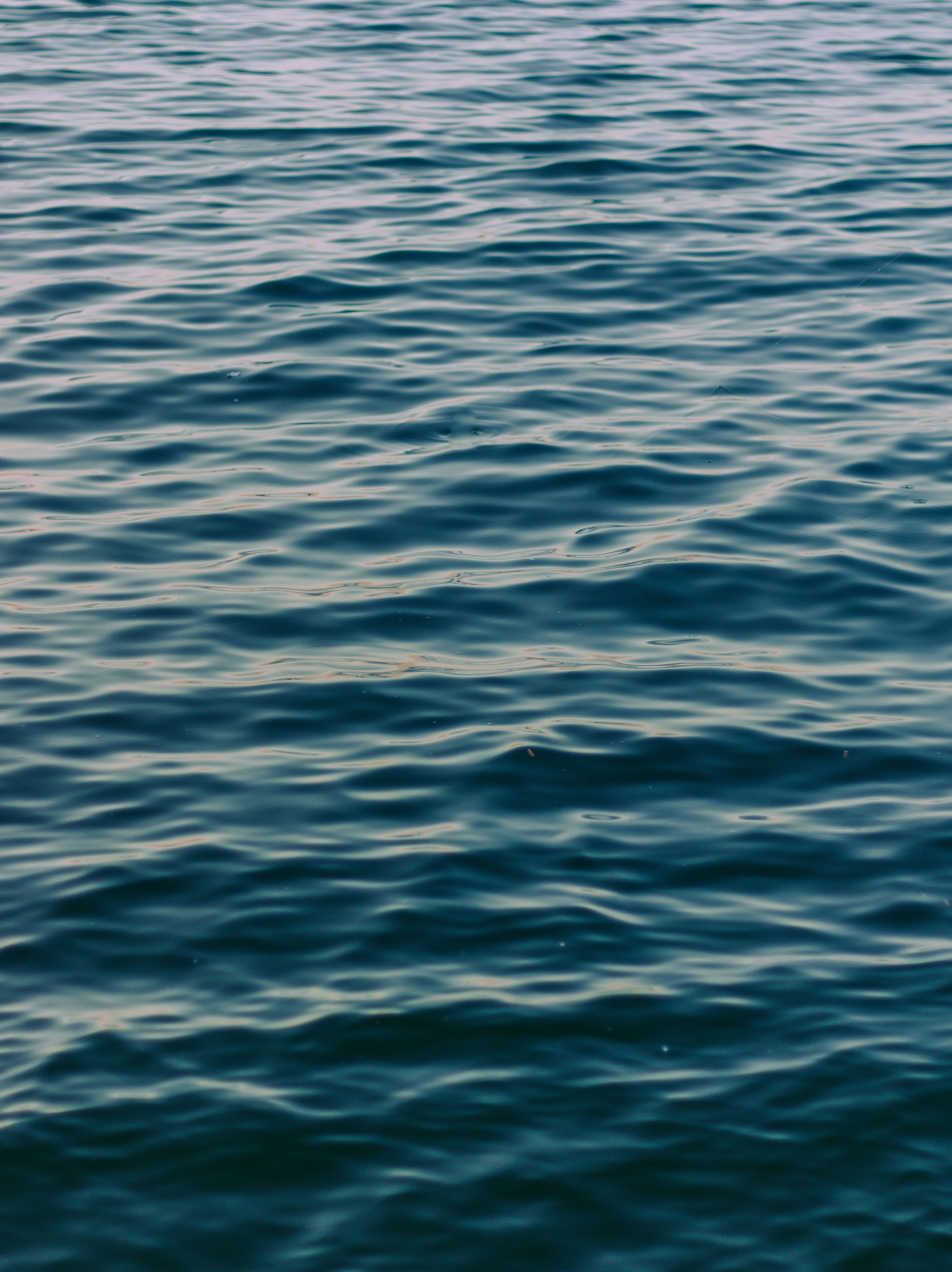Calm Water on the Sea · Free Stock Photo