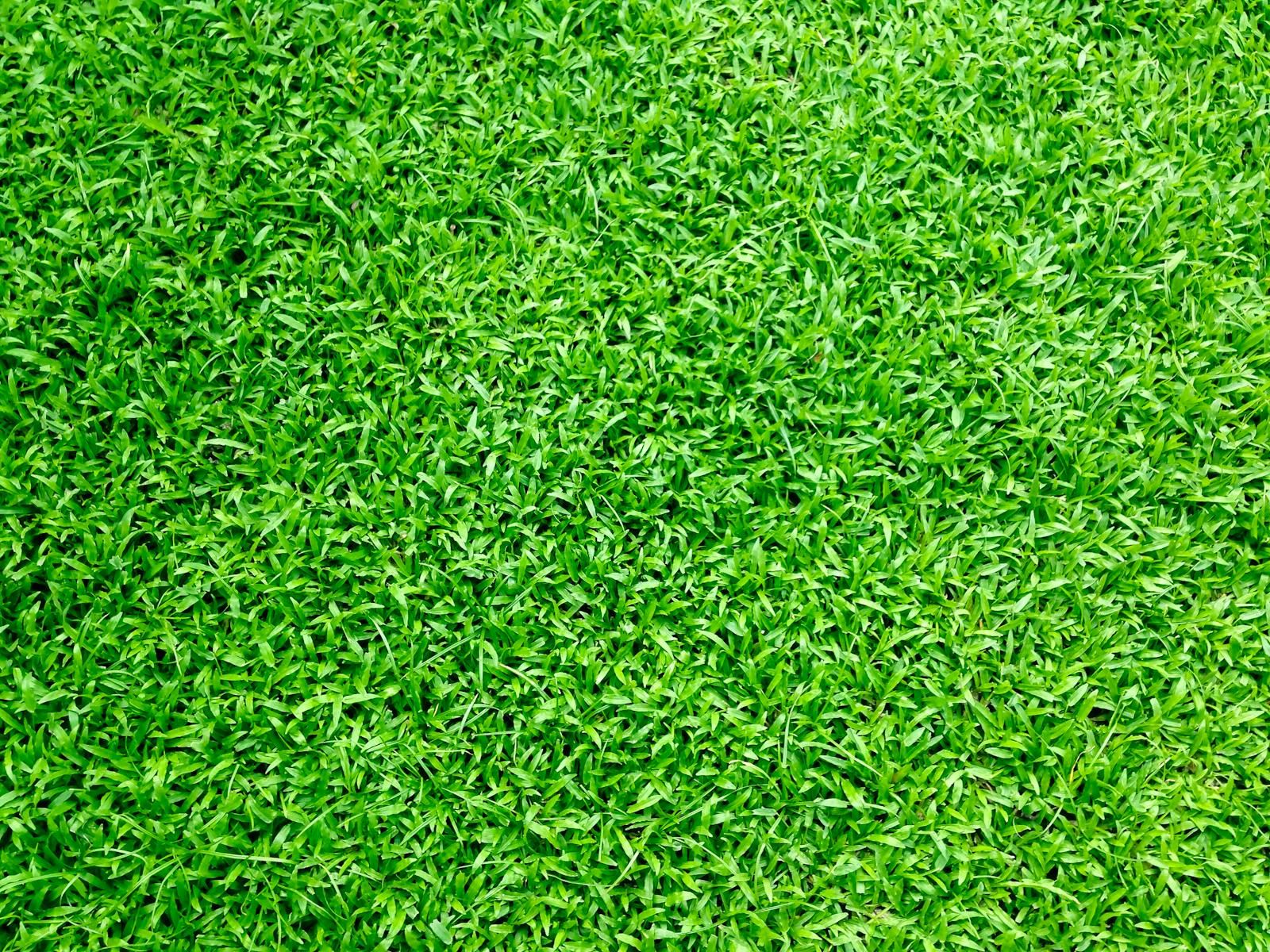 Lawn Care Photos, Download The BEST Free Lawn Care Stock Photos & HD Images