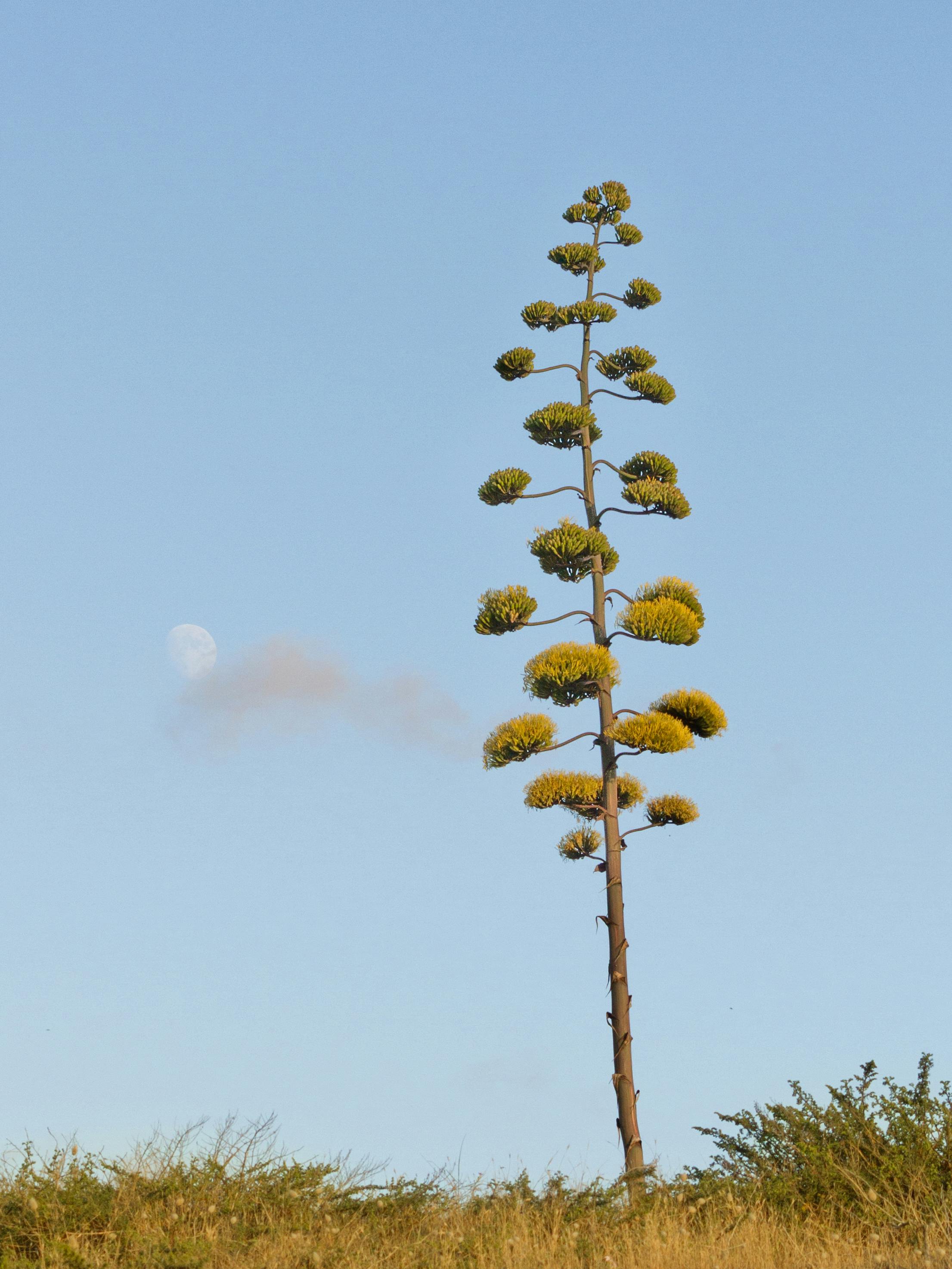 Women Contemporary Dancing on a Grass Field · Free Stock Photo
