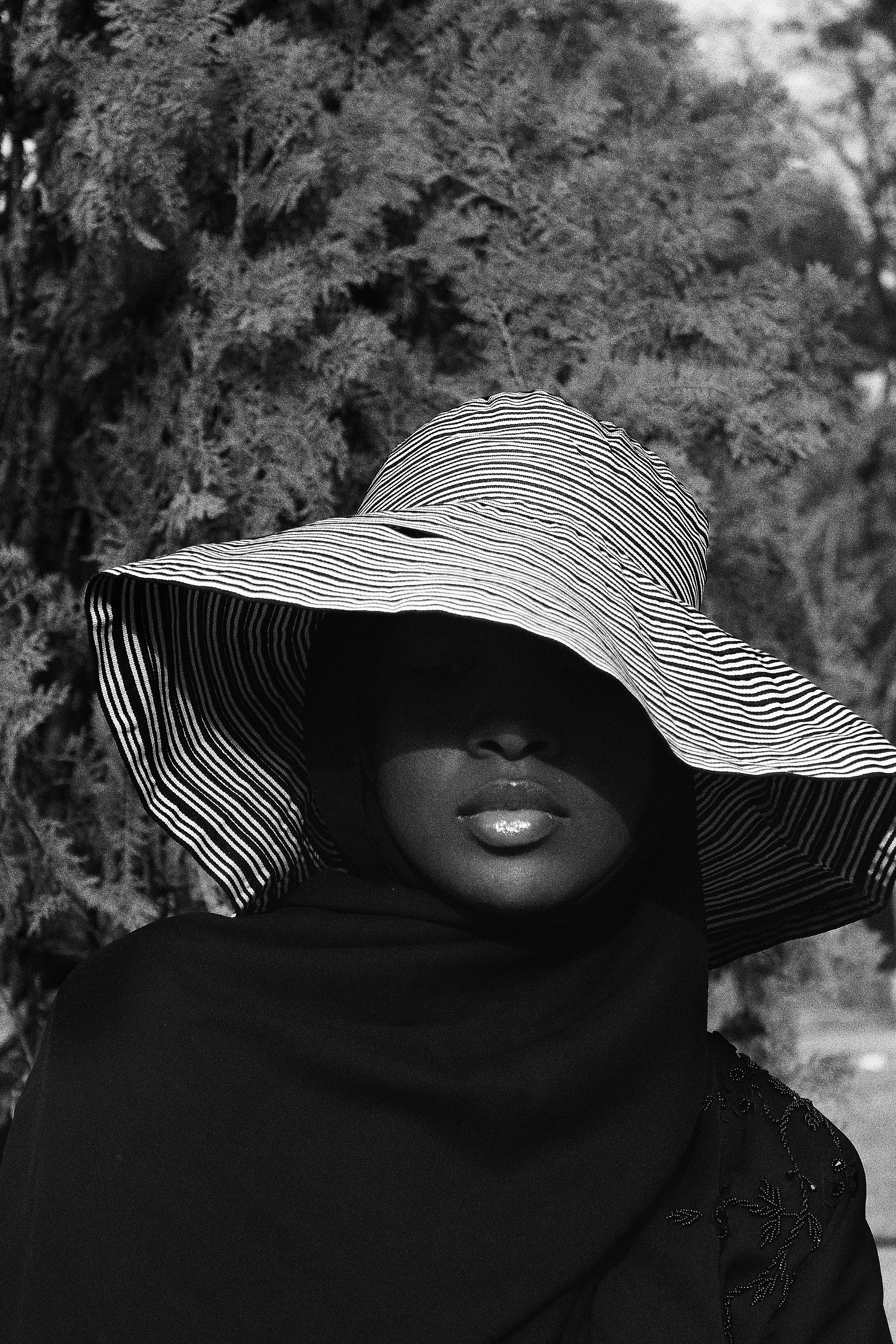 Tree Lip Photos, Download The BEST Free Tree Lip Stock Photos & HD Images