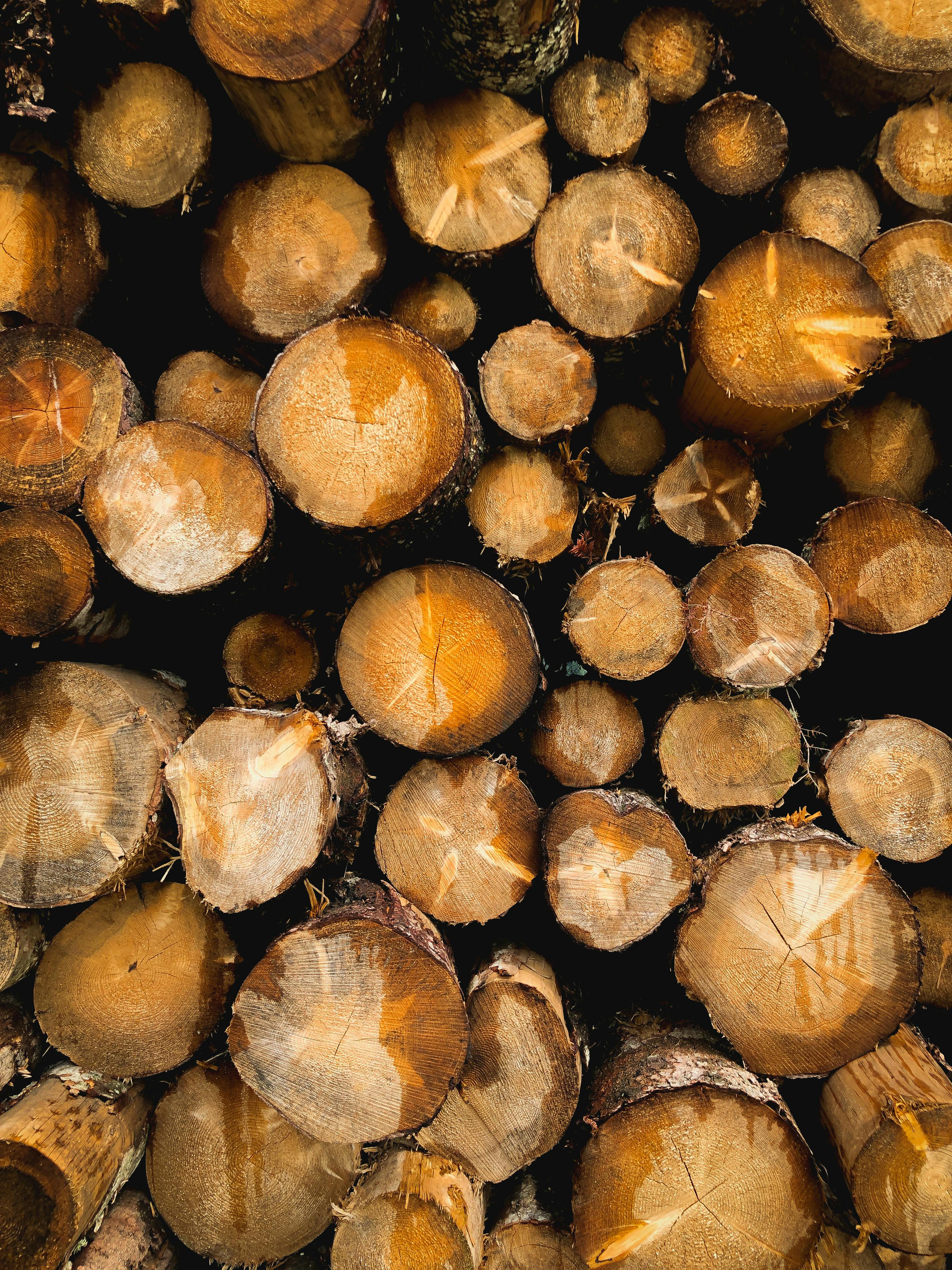 Brown and Beige Wood Logs · Free Stock Photo