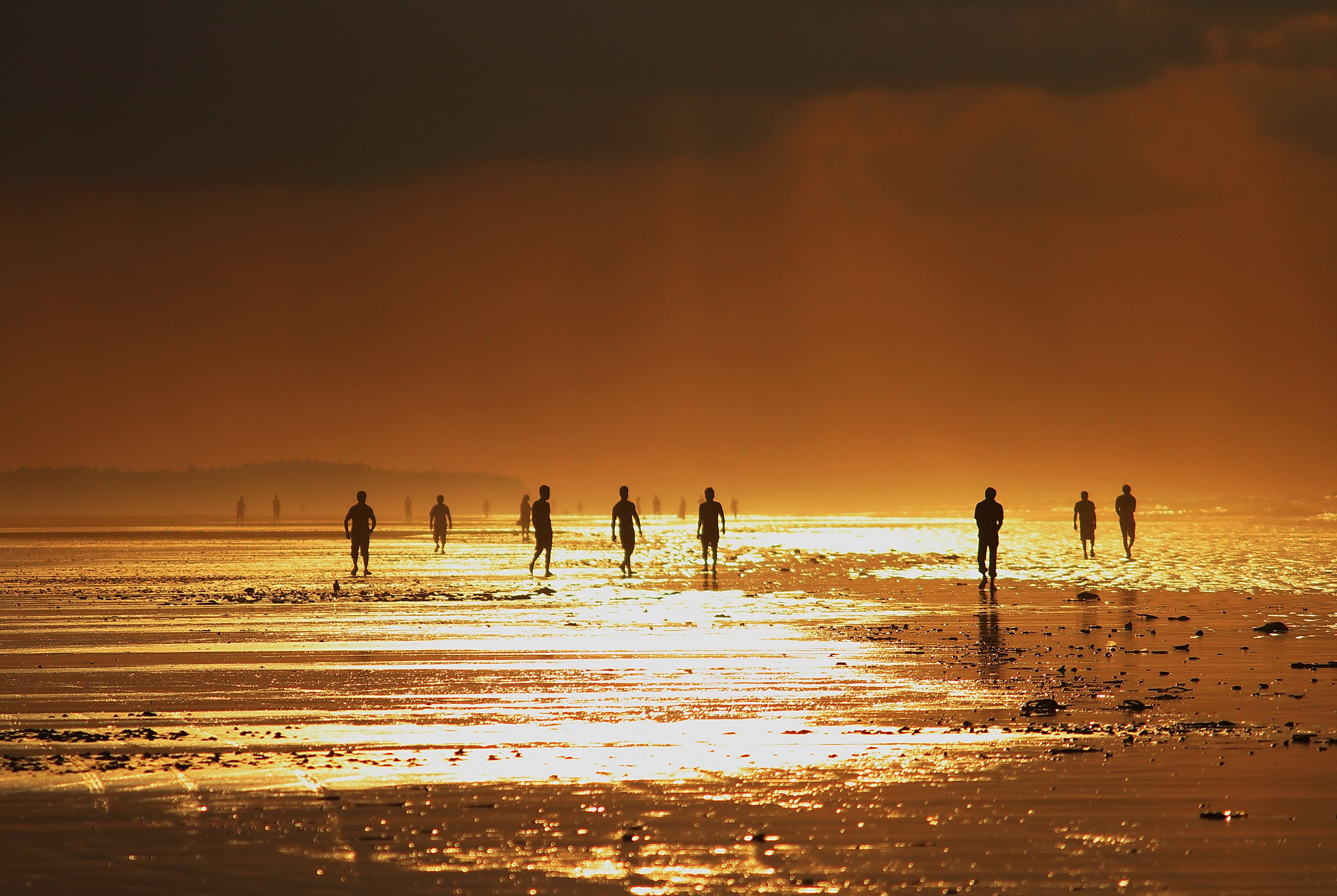 Group of people enjoying sunset on seashore · Free Stock Photo