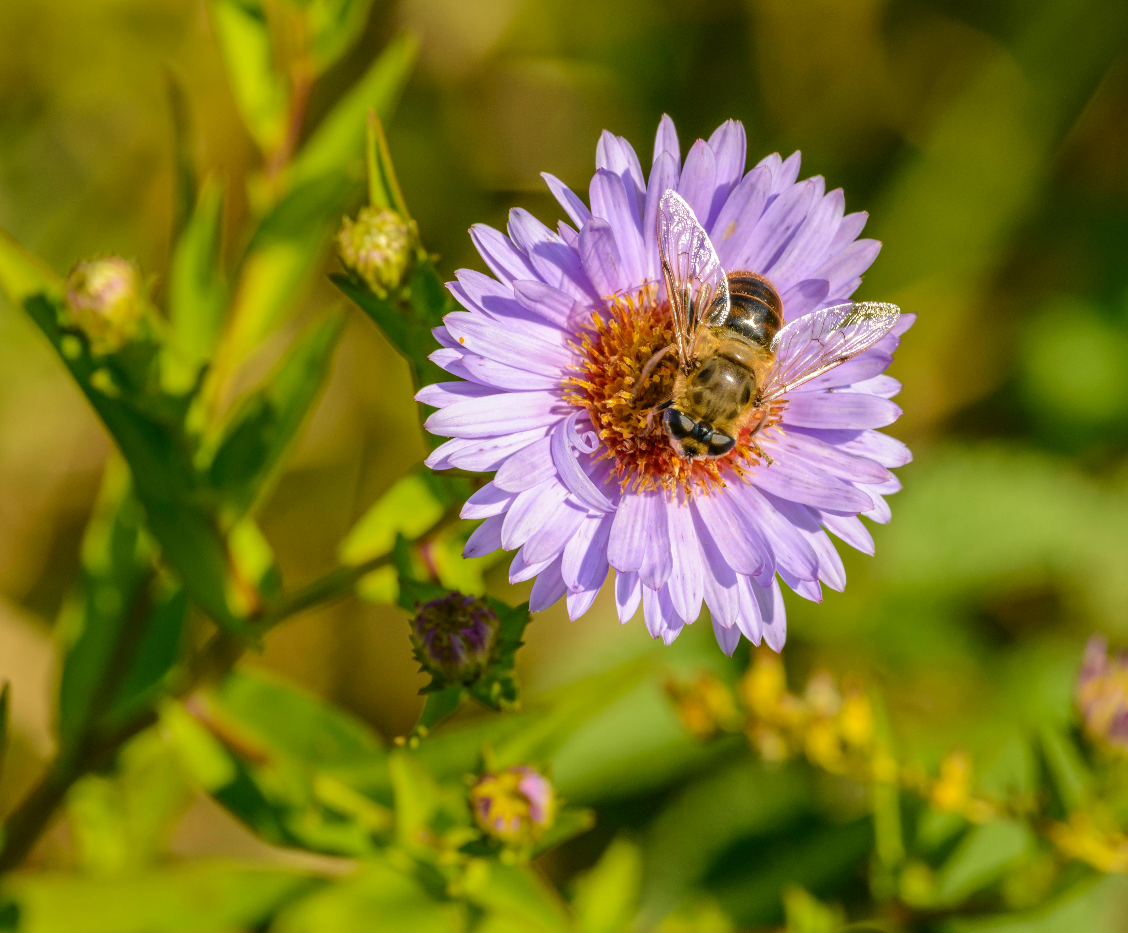 Gathering Nature Photos, Download The BEST Free Gathering Nature Stock ...