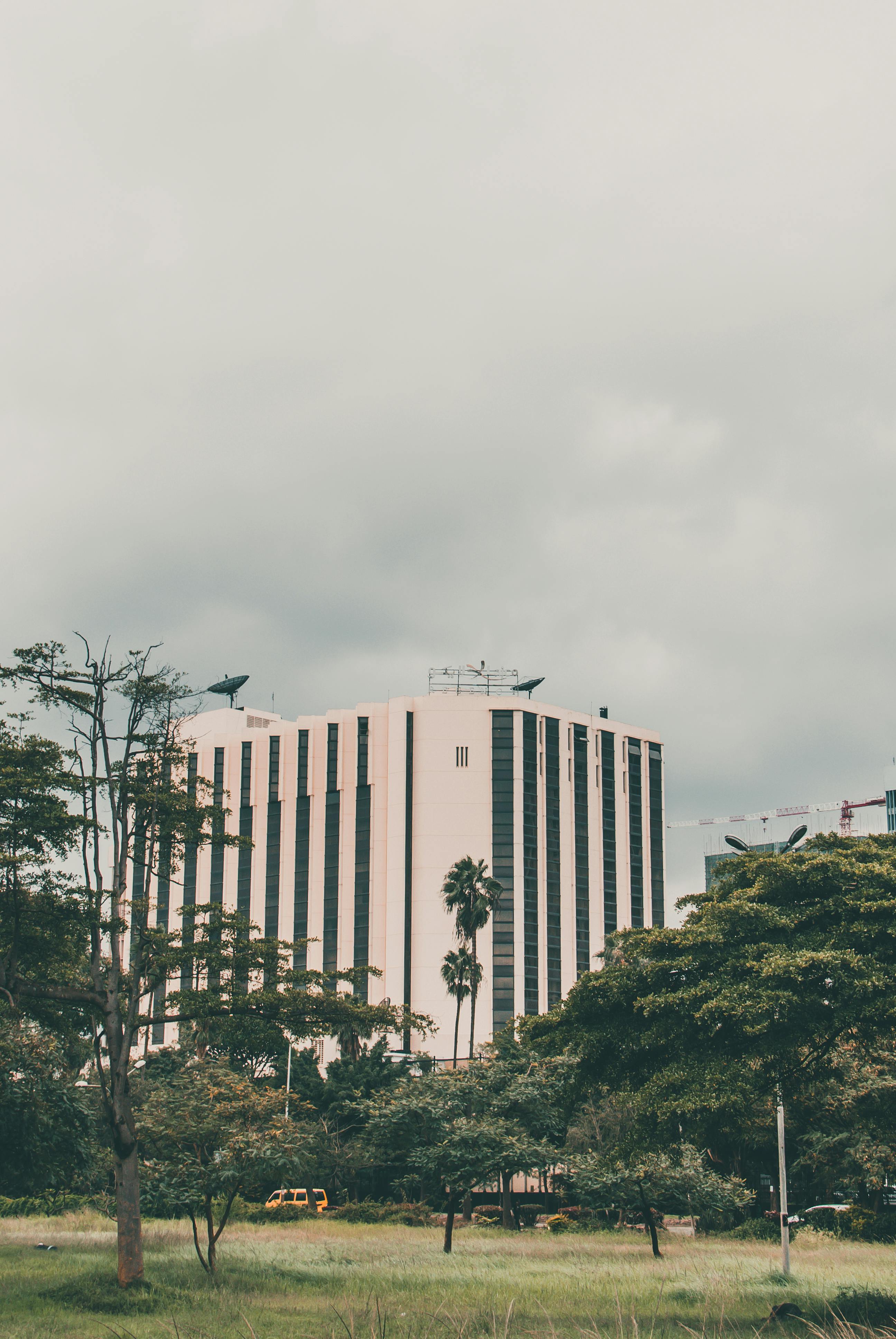 Photo of Park Near Buildings and Trees · Free Stock Photo