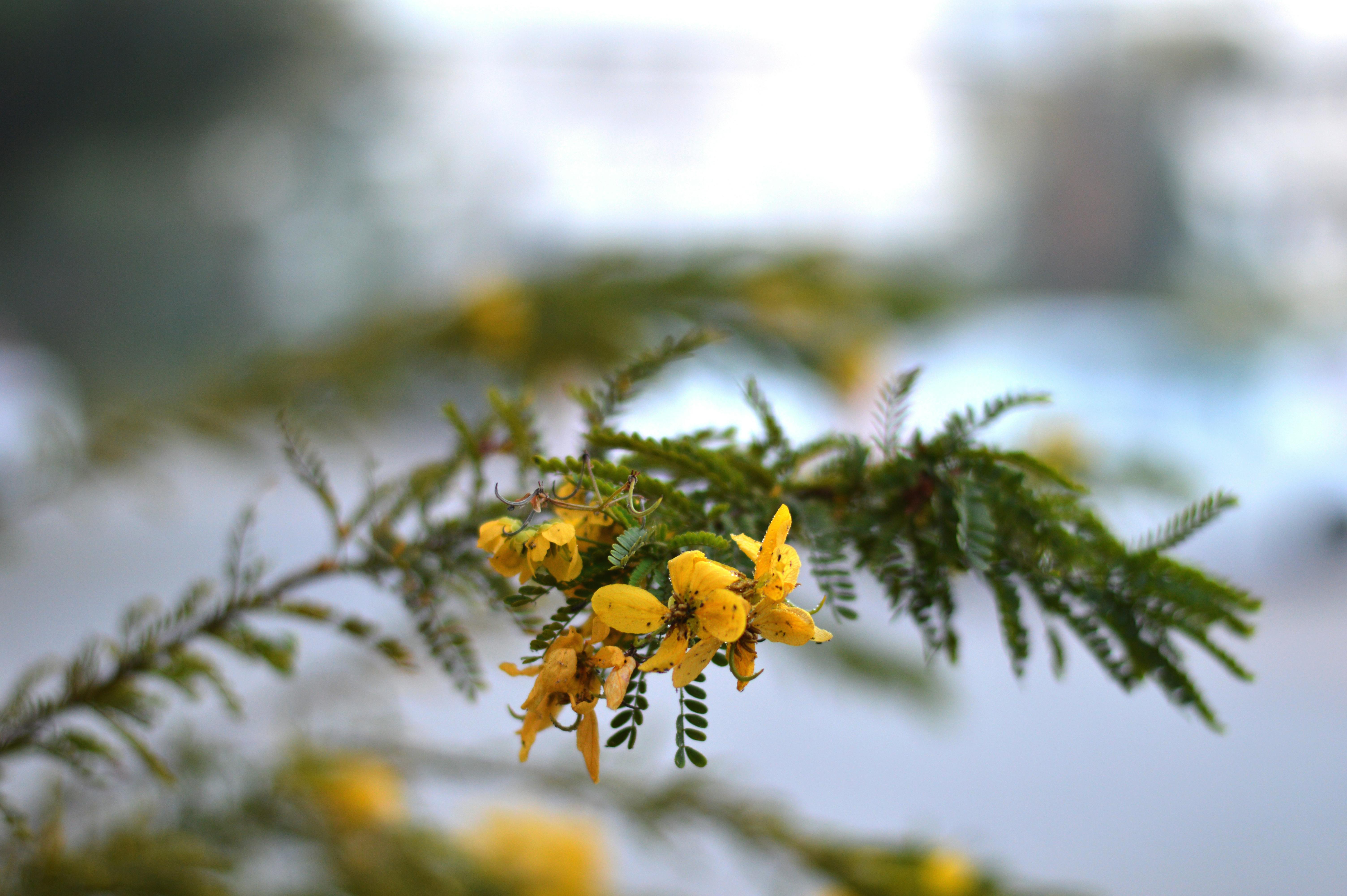 shashi rupapara - Photography