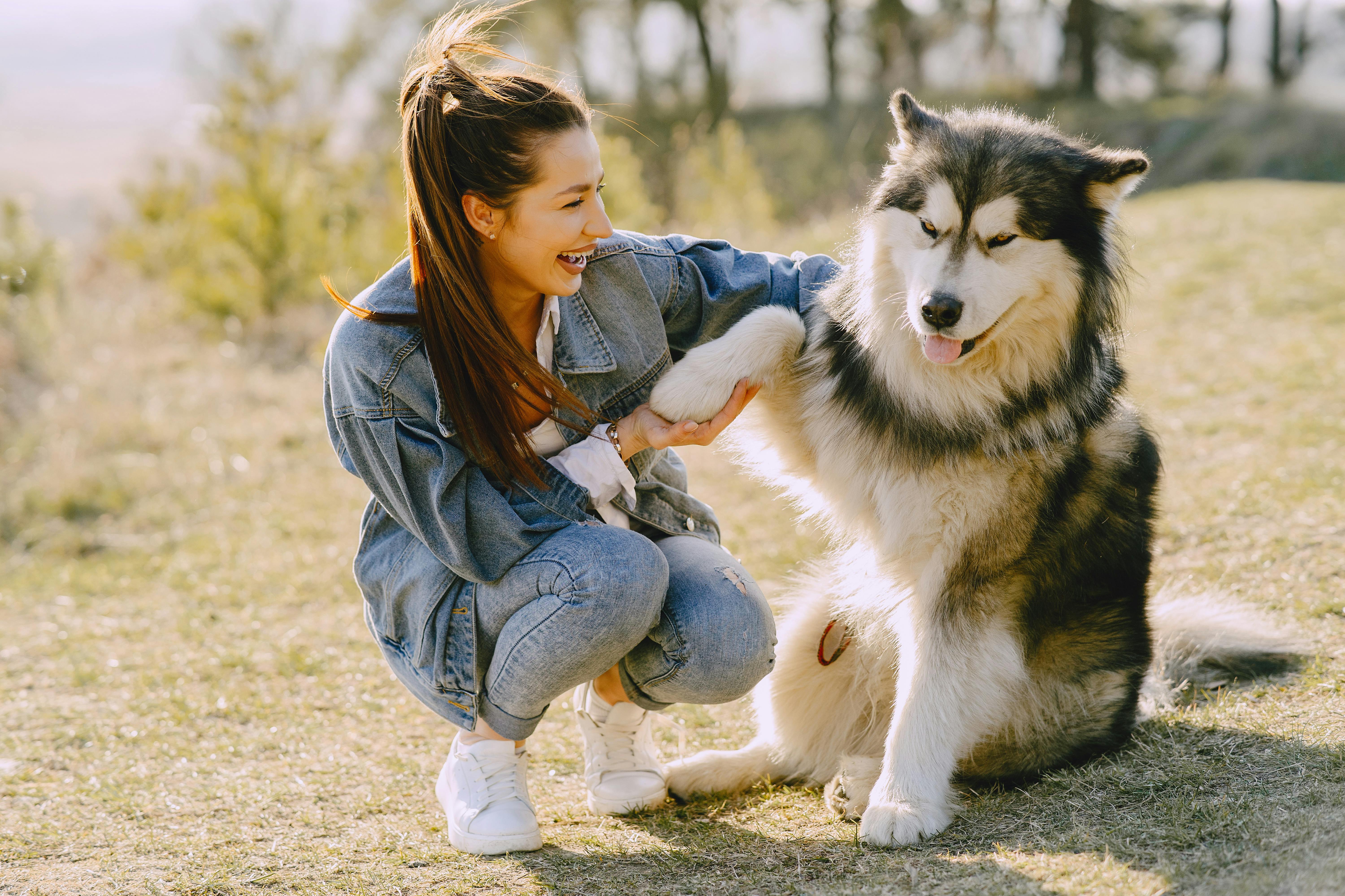Happy woman taking paw of big Husky during walk · Free Stock Photo