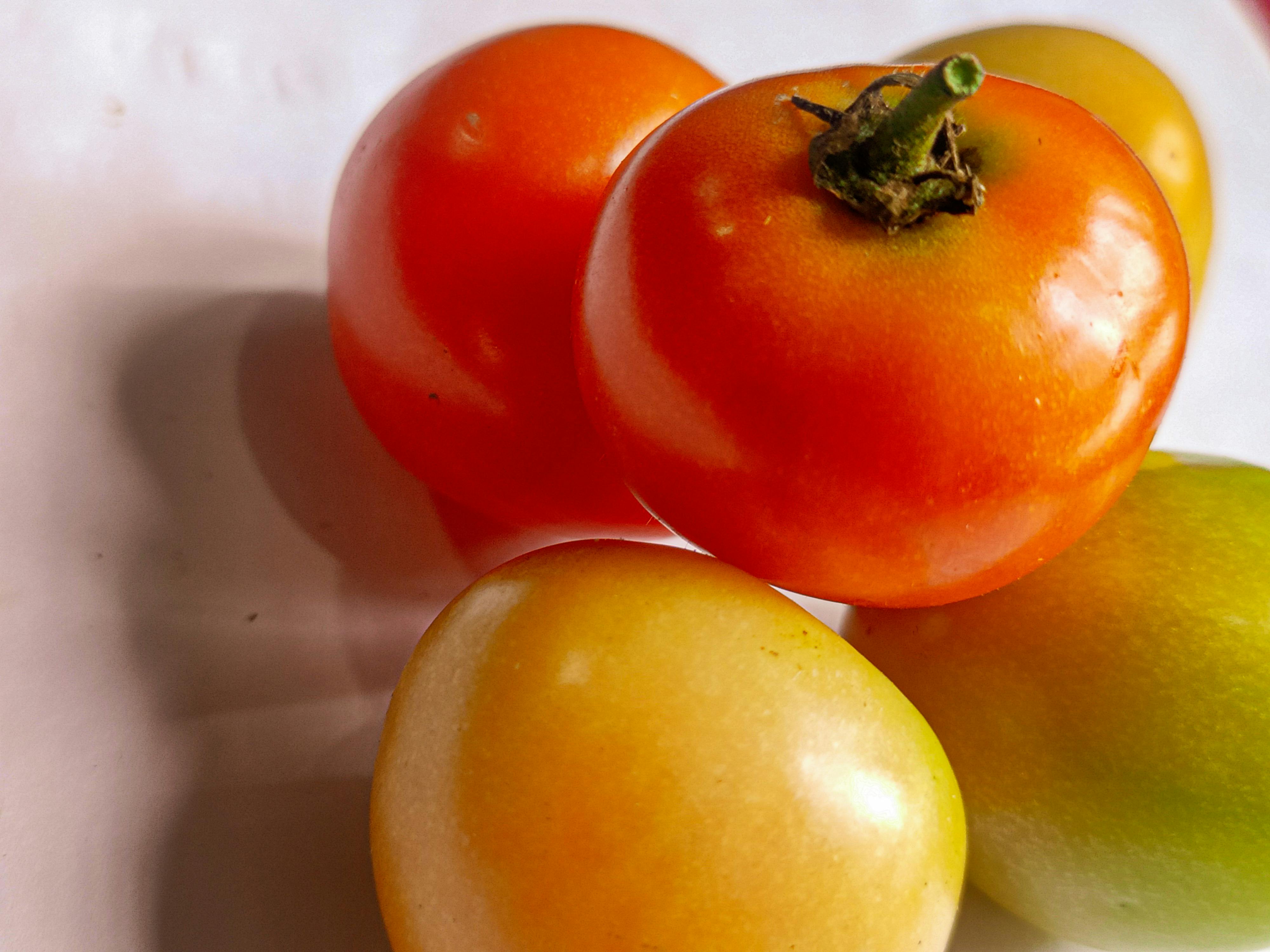 Touhid Shajed - 摄影