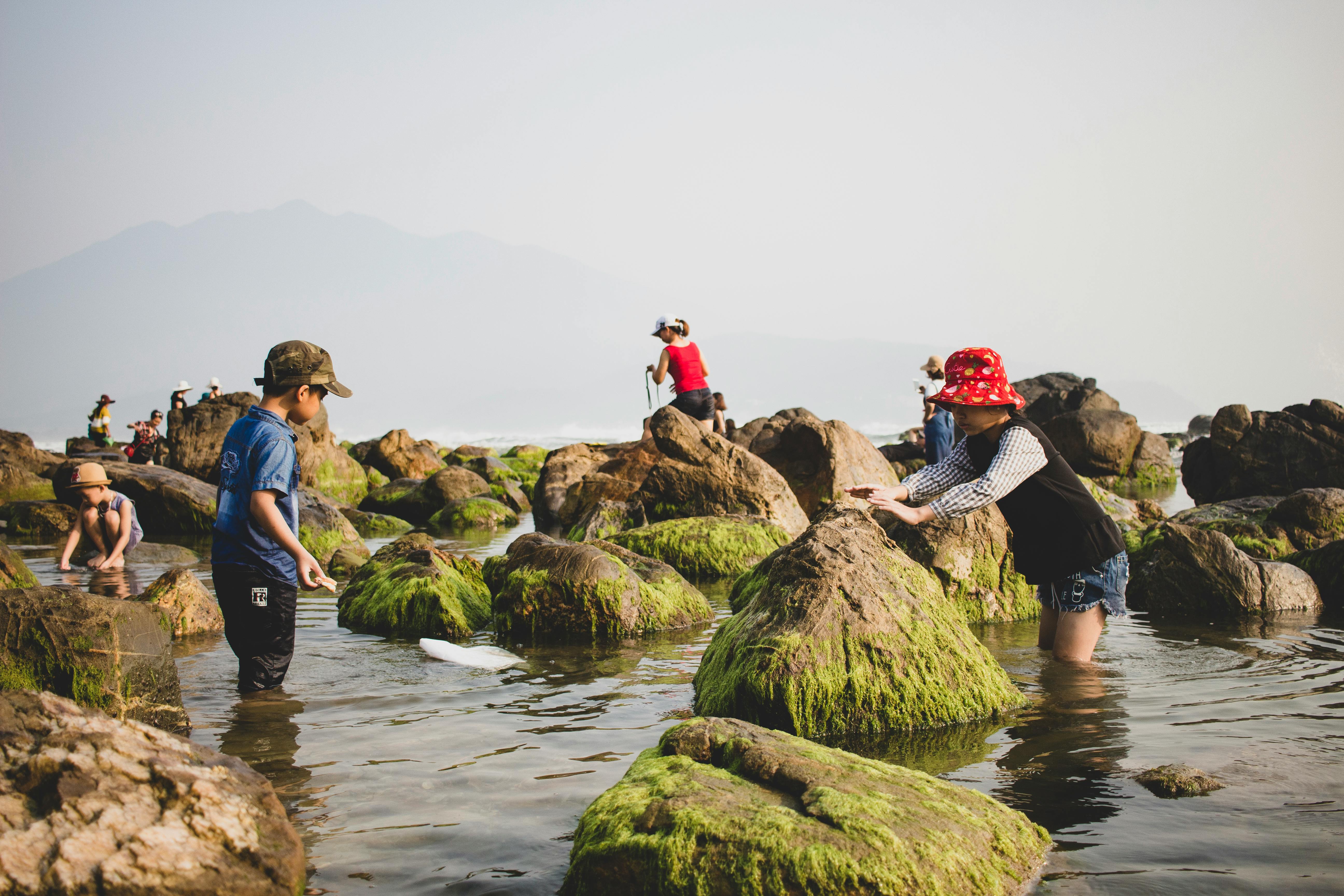 Kids Playing with Rocks on Coastline · Free Stock Photo
