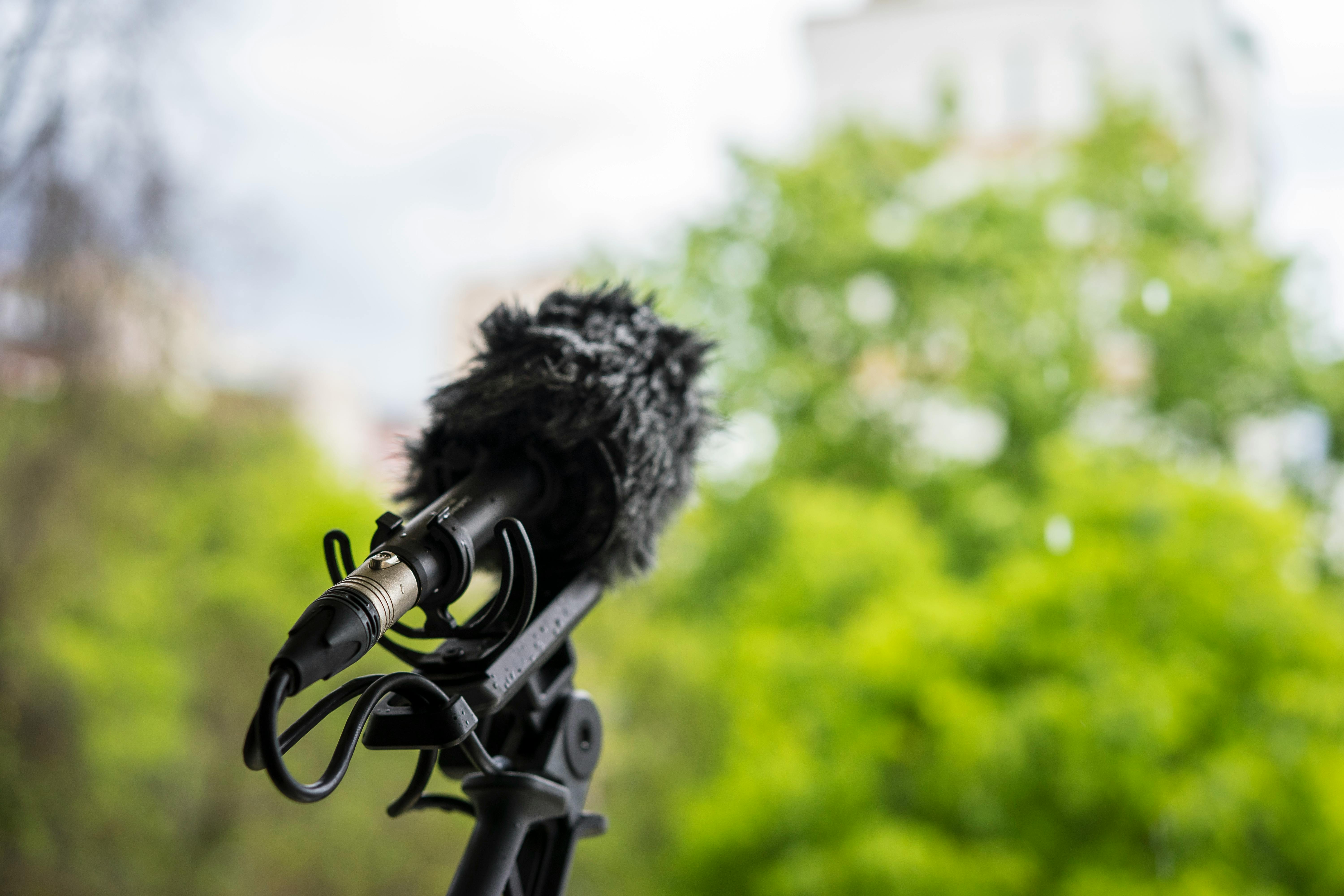 Microphone against Green Trees · Free Stock Photo