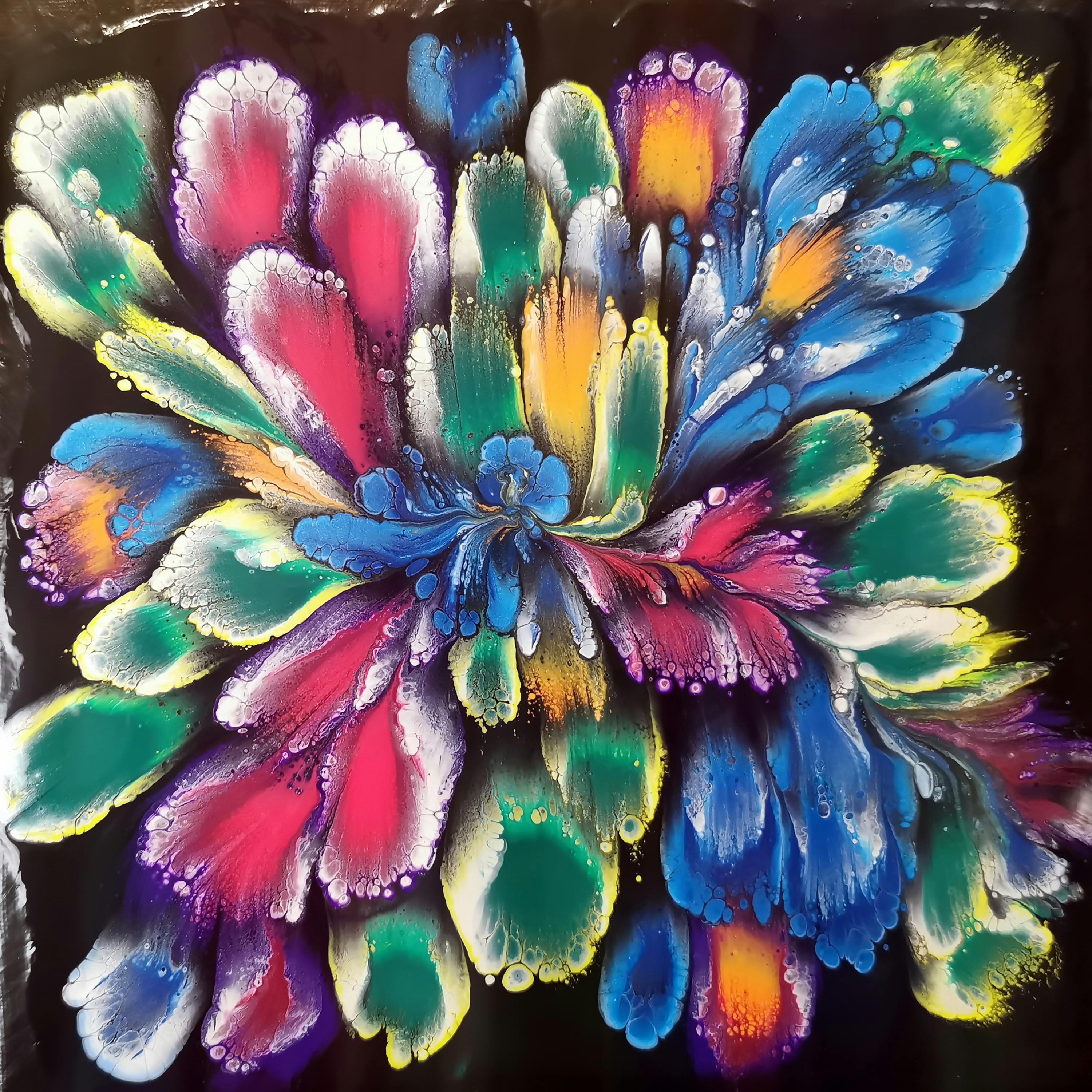 Colorfull Photos, Download The BEST Free Colorfull Stock Photos & HD Images