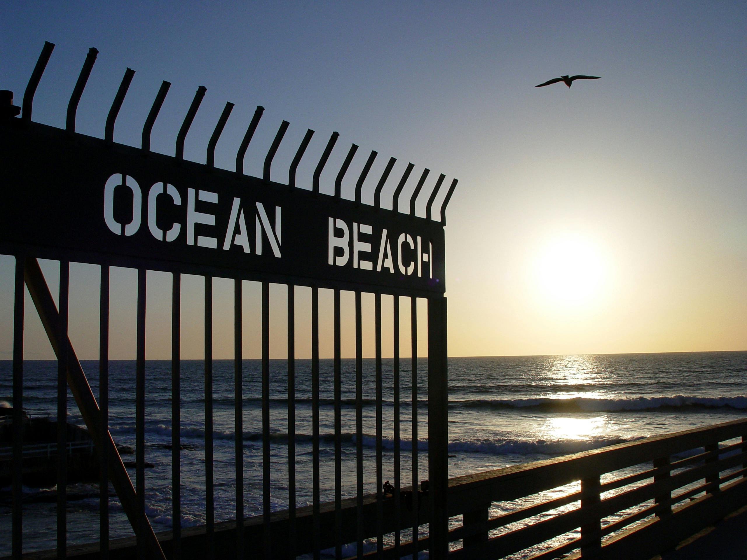 Bill Windsor - การถ่ายภาพ