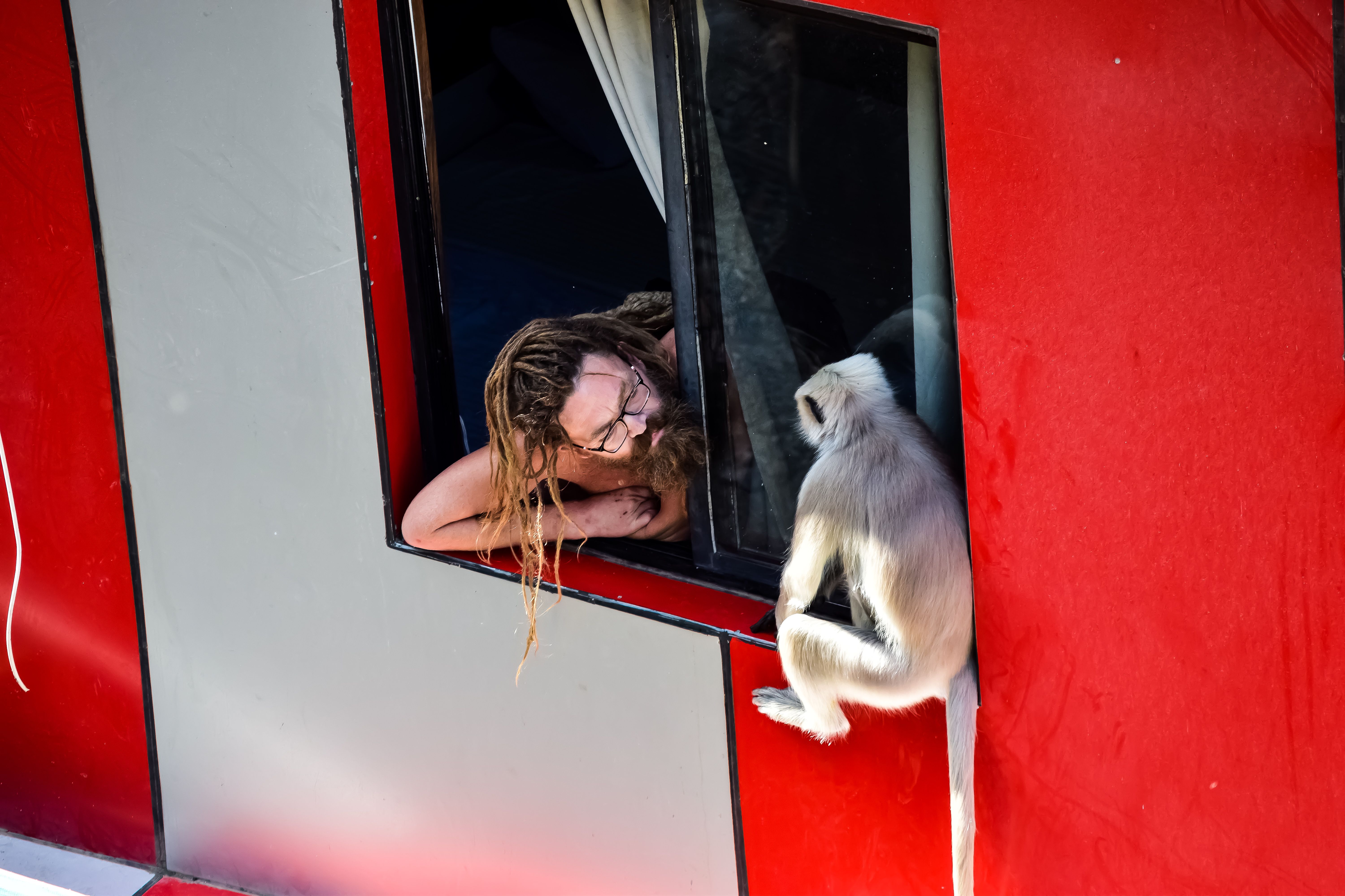 A Man and a Monkey Looking at Each Other · Free Stock Photo