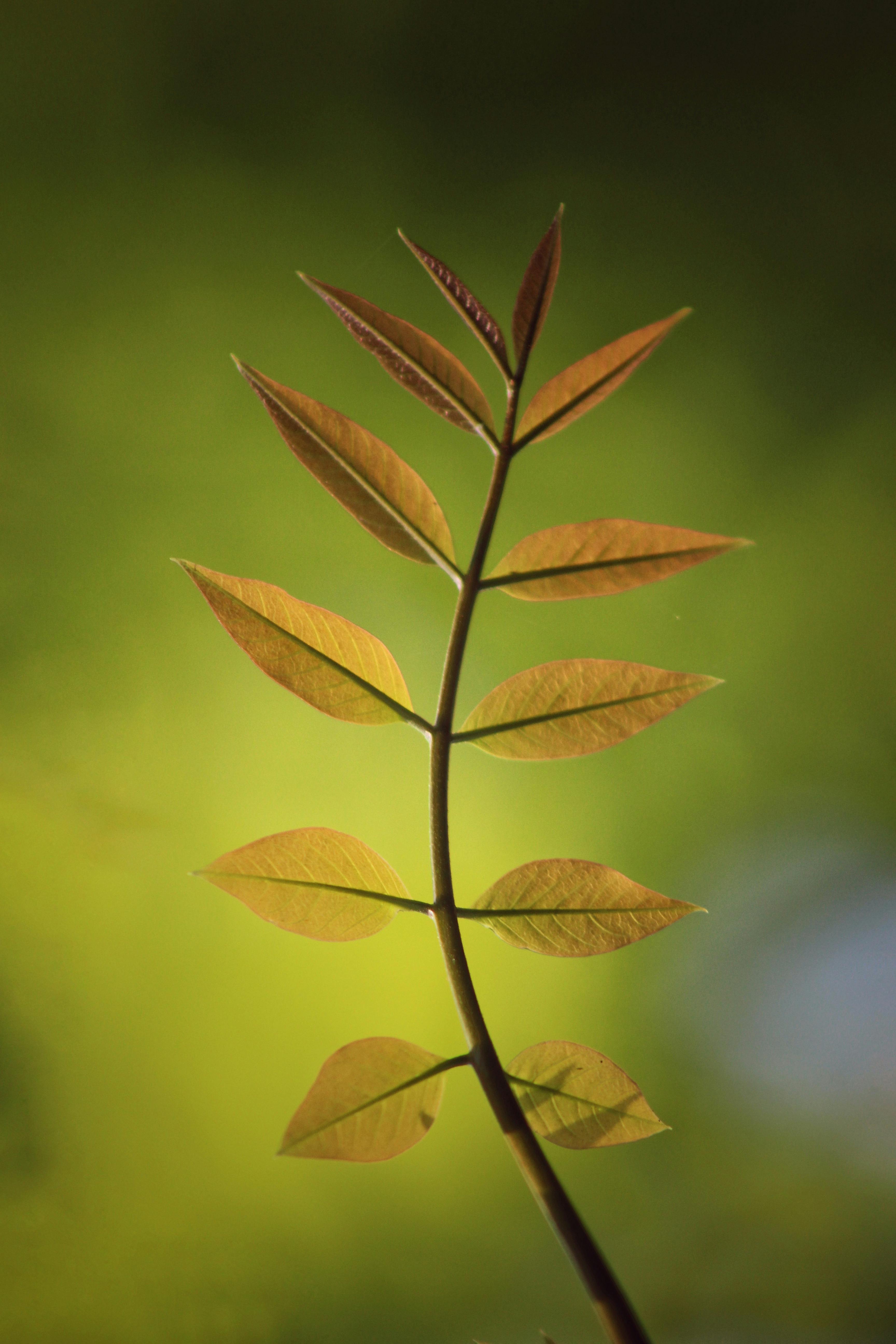 Fraction Photos, Download The BEST Free Fraction Stock Photos & HD Images