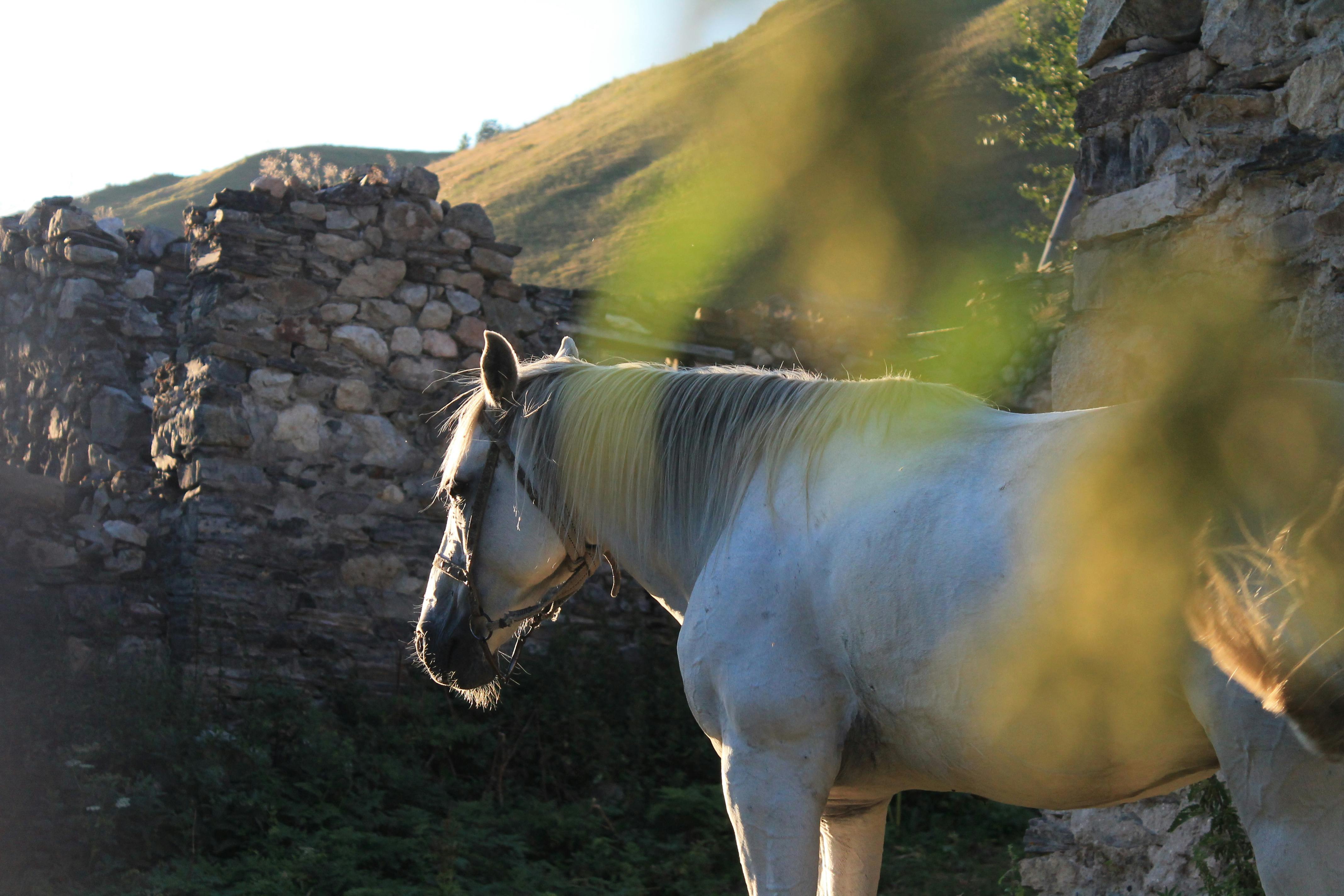 Rular Photos, Download Free Rular Stock Photos & HD Images