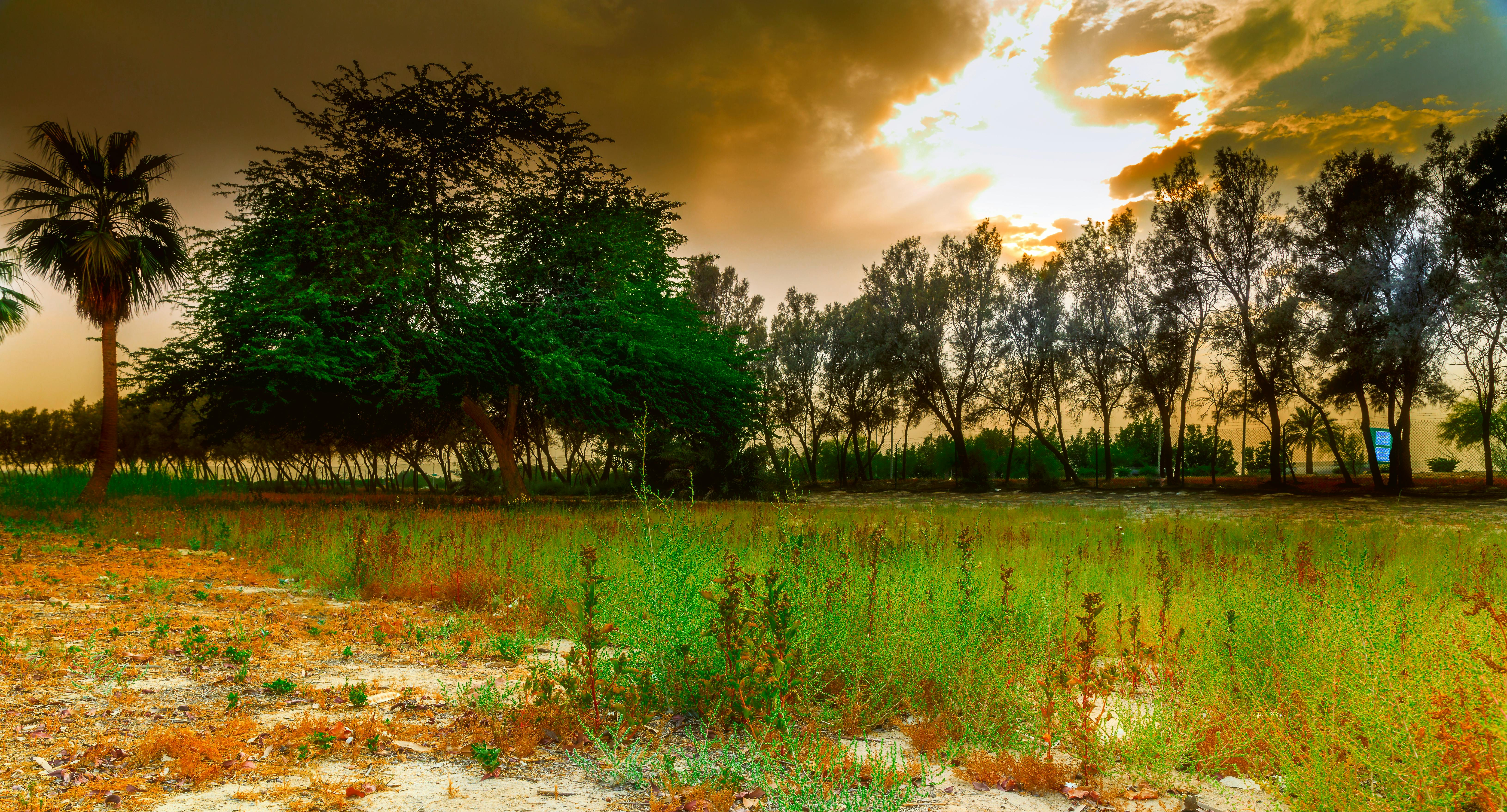 Free stock photo of canon, landscape, orange sky