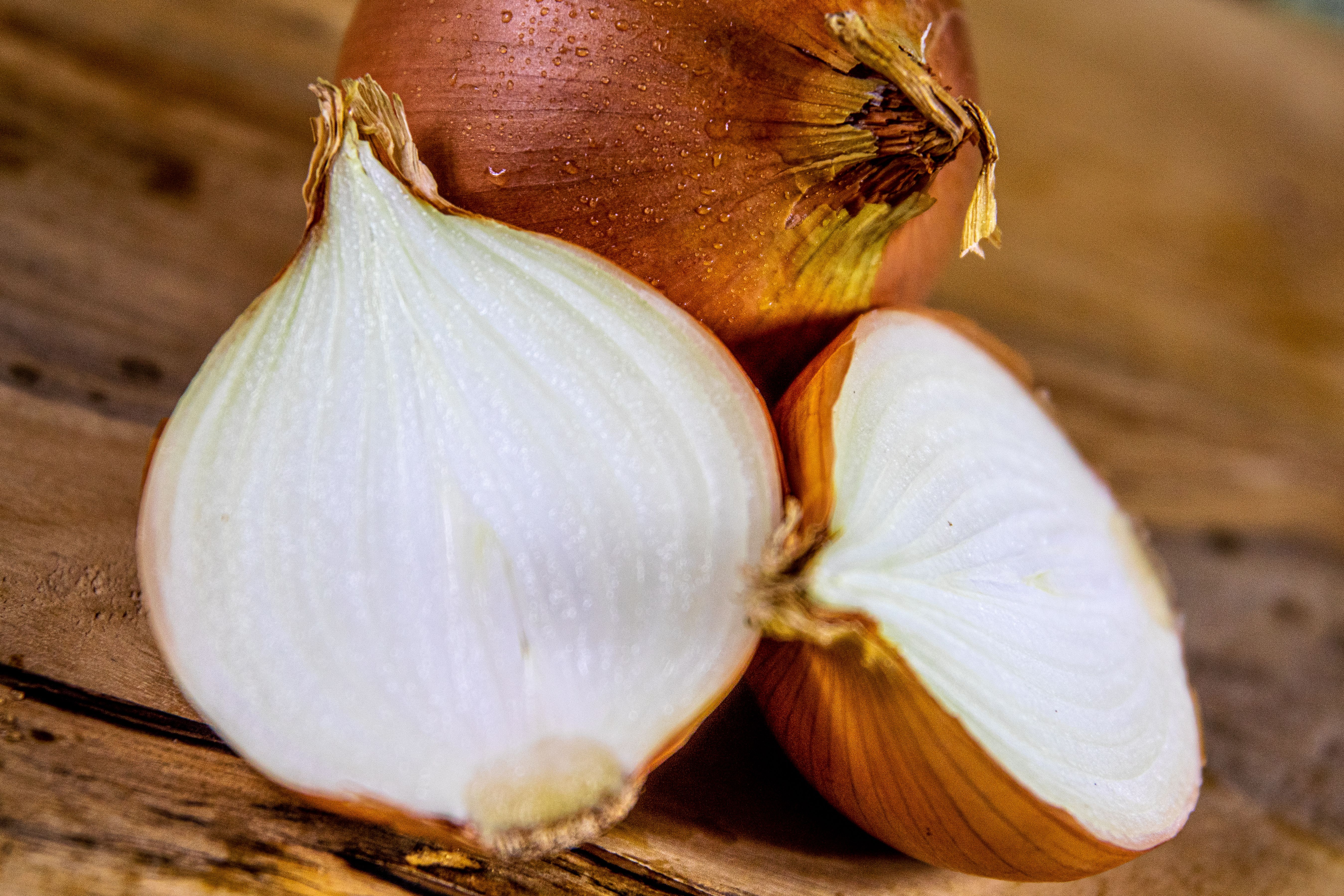 Foto profissional gratuita de alimentação saudável, alimento, allium ...