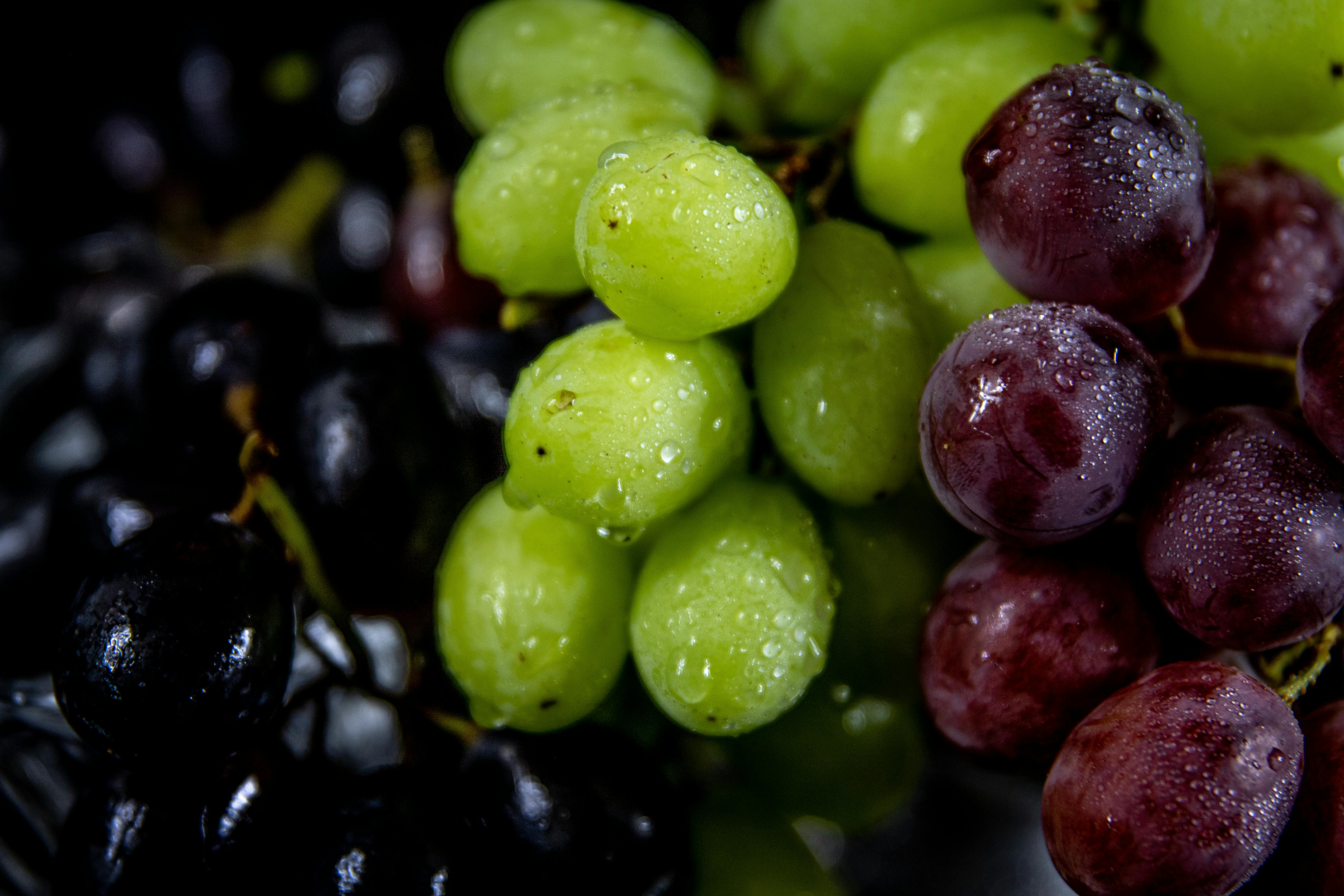 Green and Red Grapes in Close Up Shot · Free Stock Photo