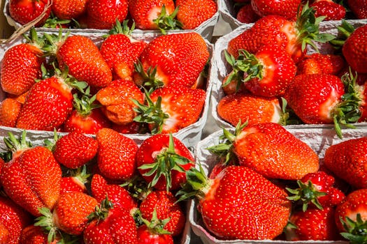 Strawberry Close Up Photo · Free Stock Photo