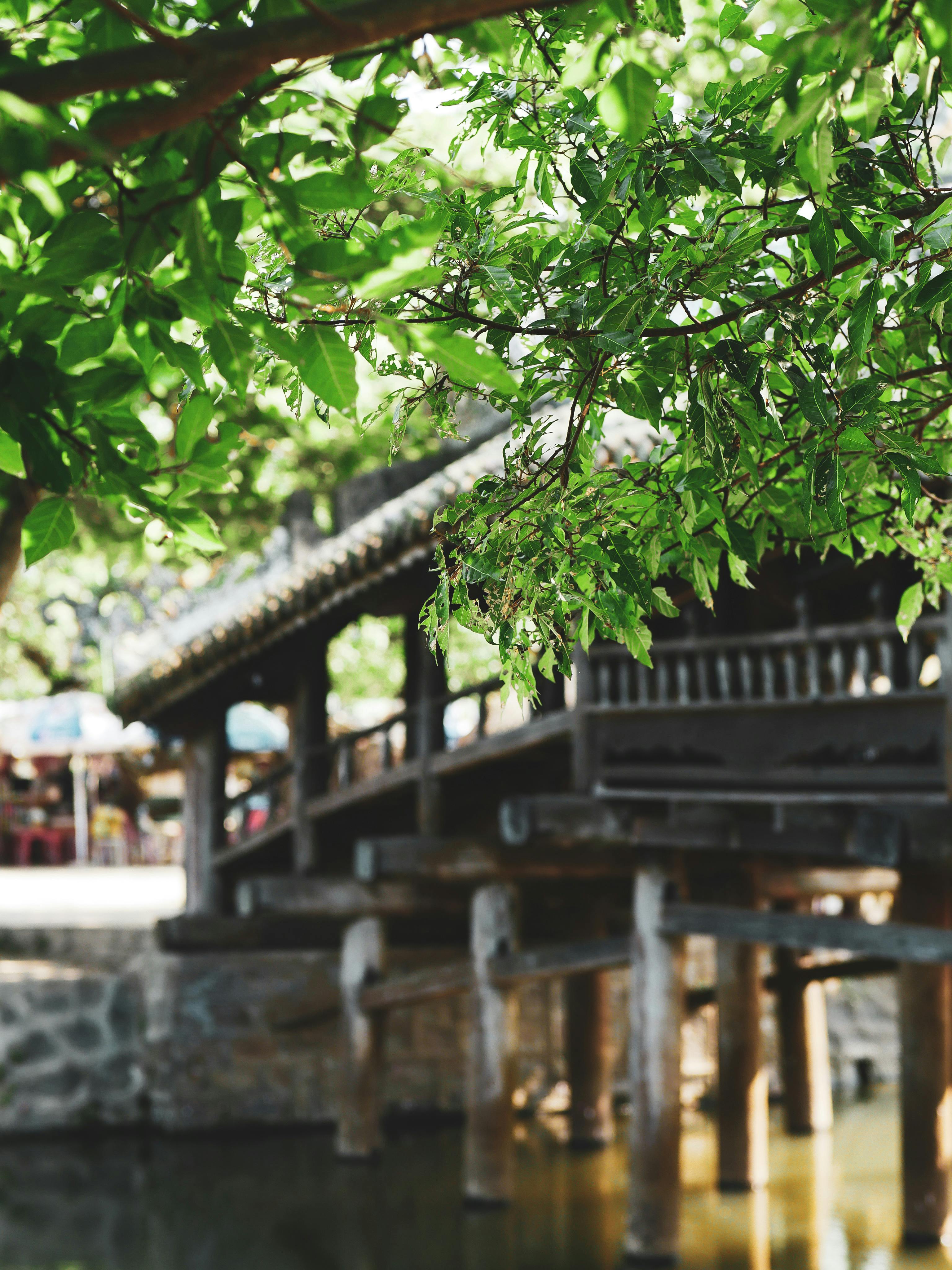 Toan Pham - Photography