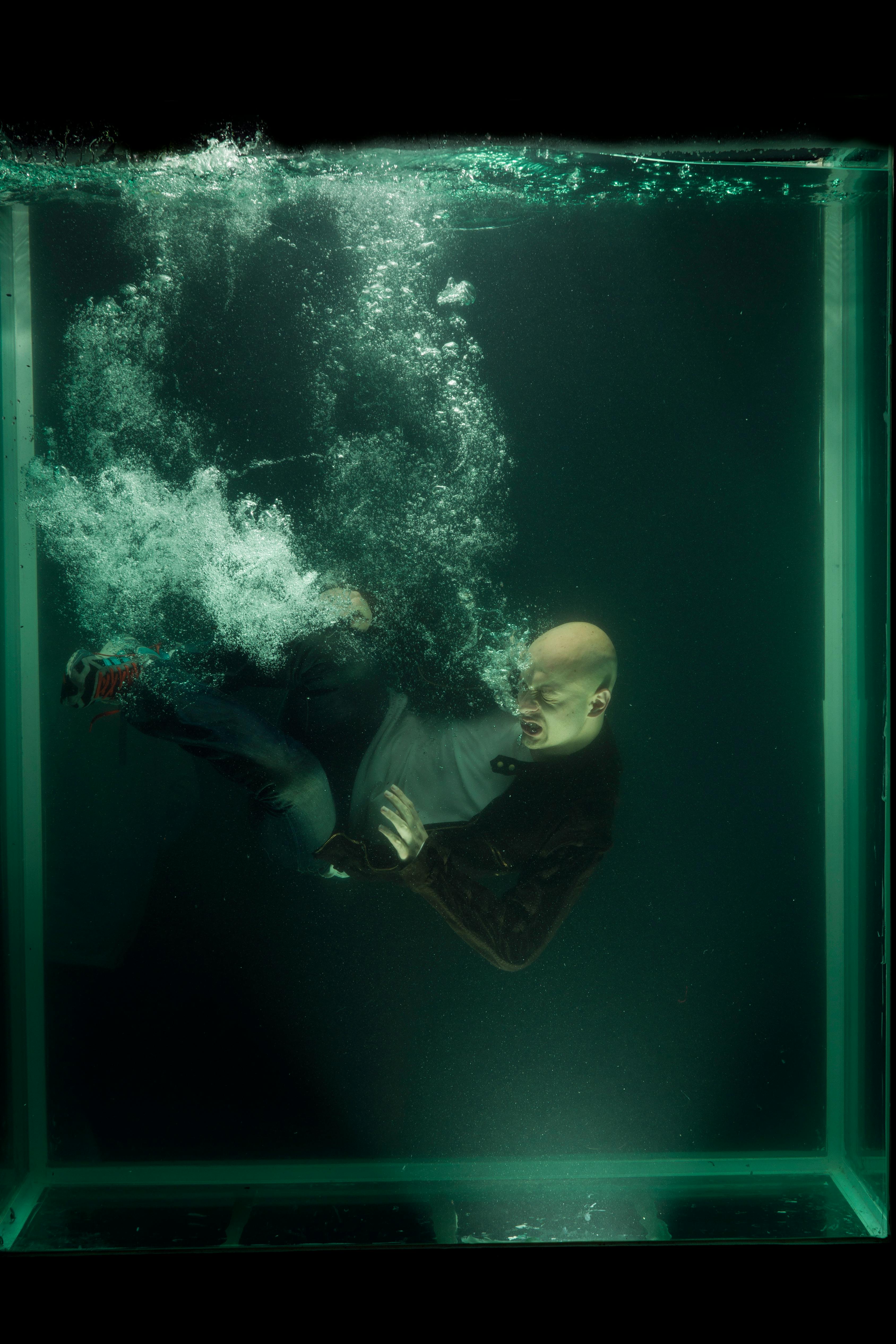 A Man Swimming in the Aquarium · Free Stock Photo