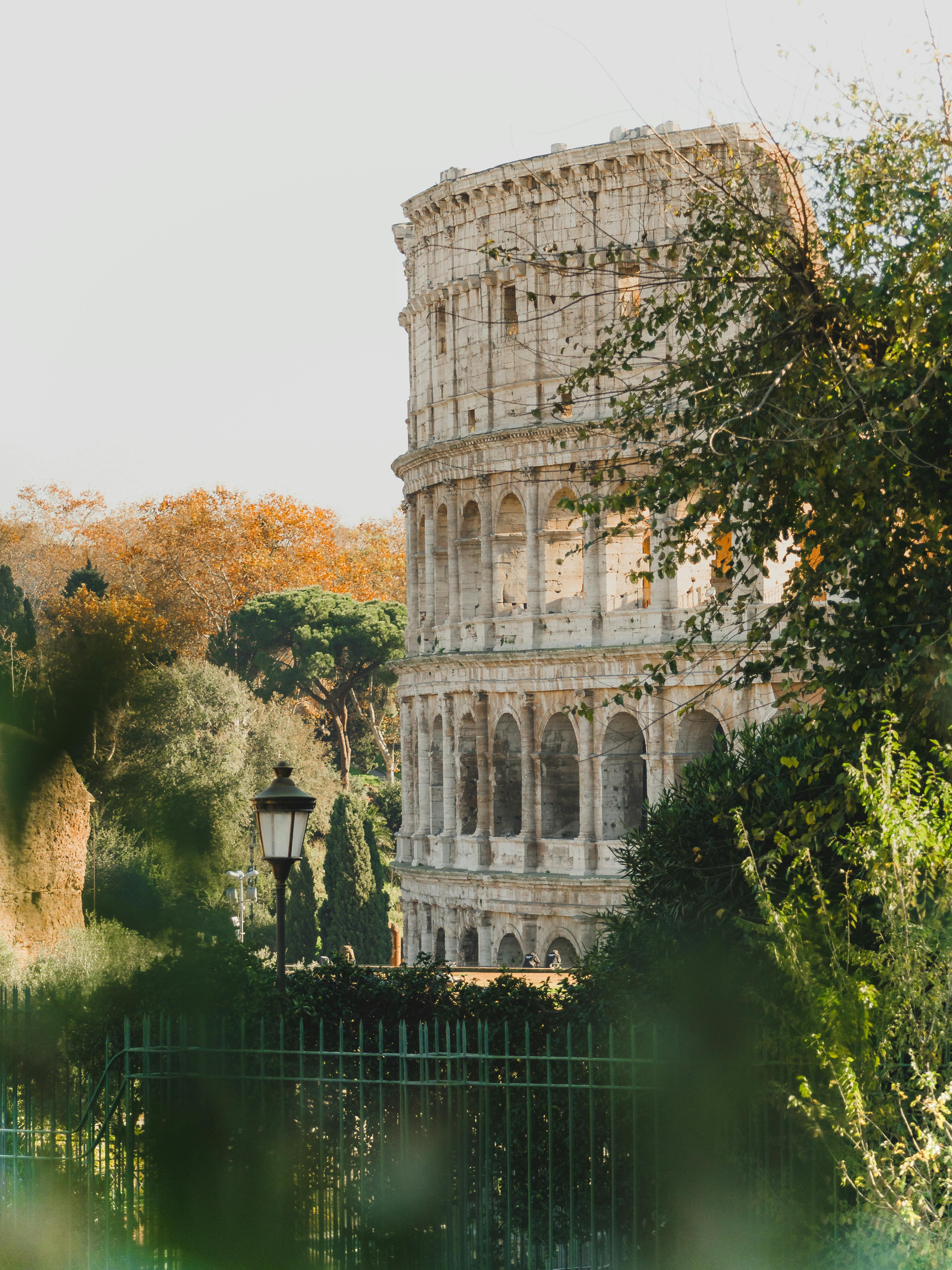 Green Trees Near the Colosseum · Free Stock Photo