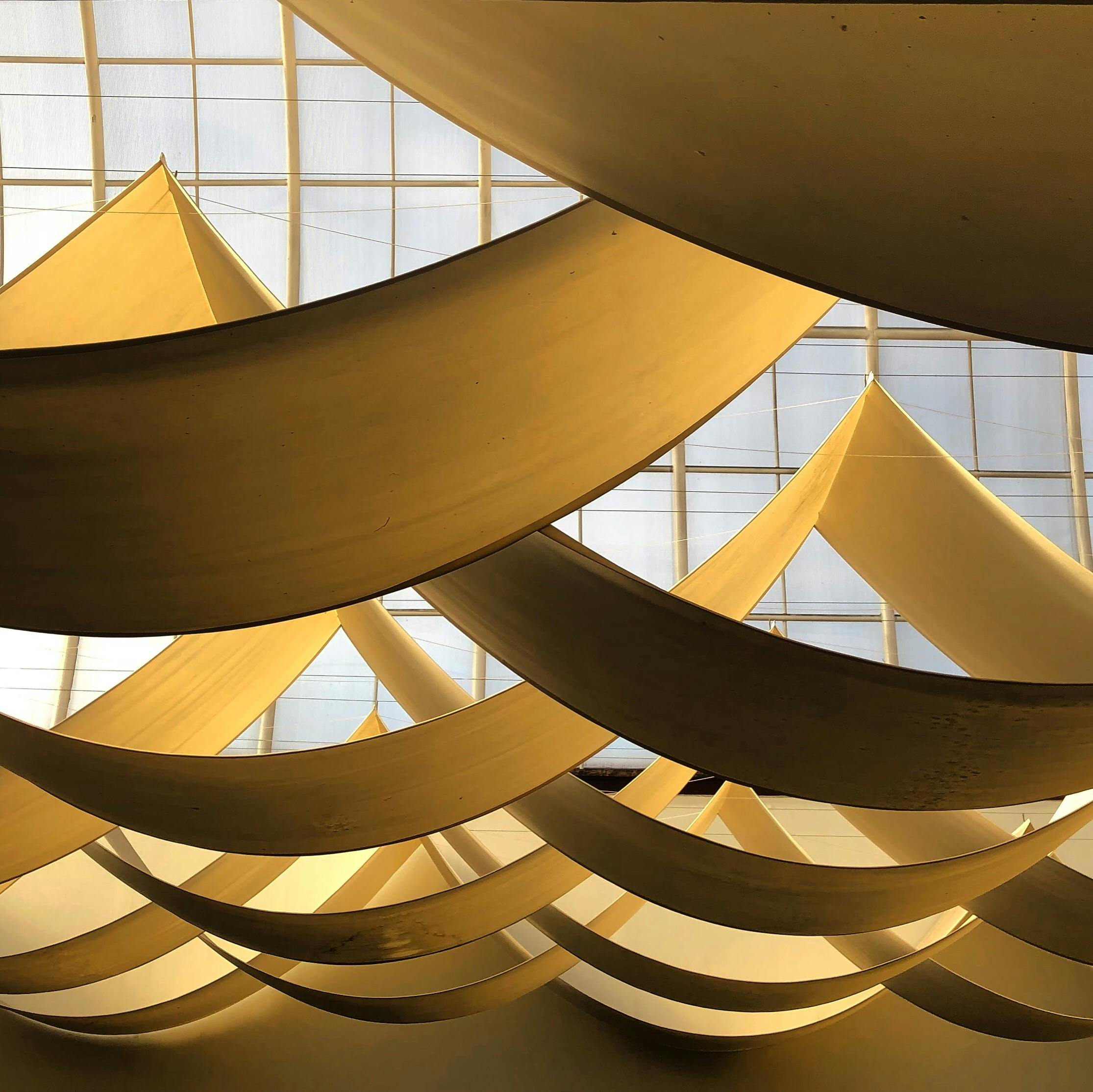 Gold Frame Photos, Download The BEST Free Gold Frame Stock Photos & HD ...