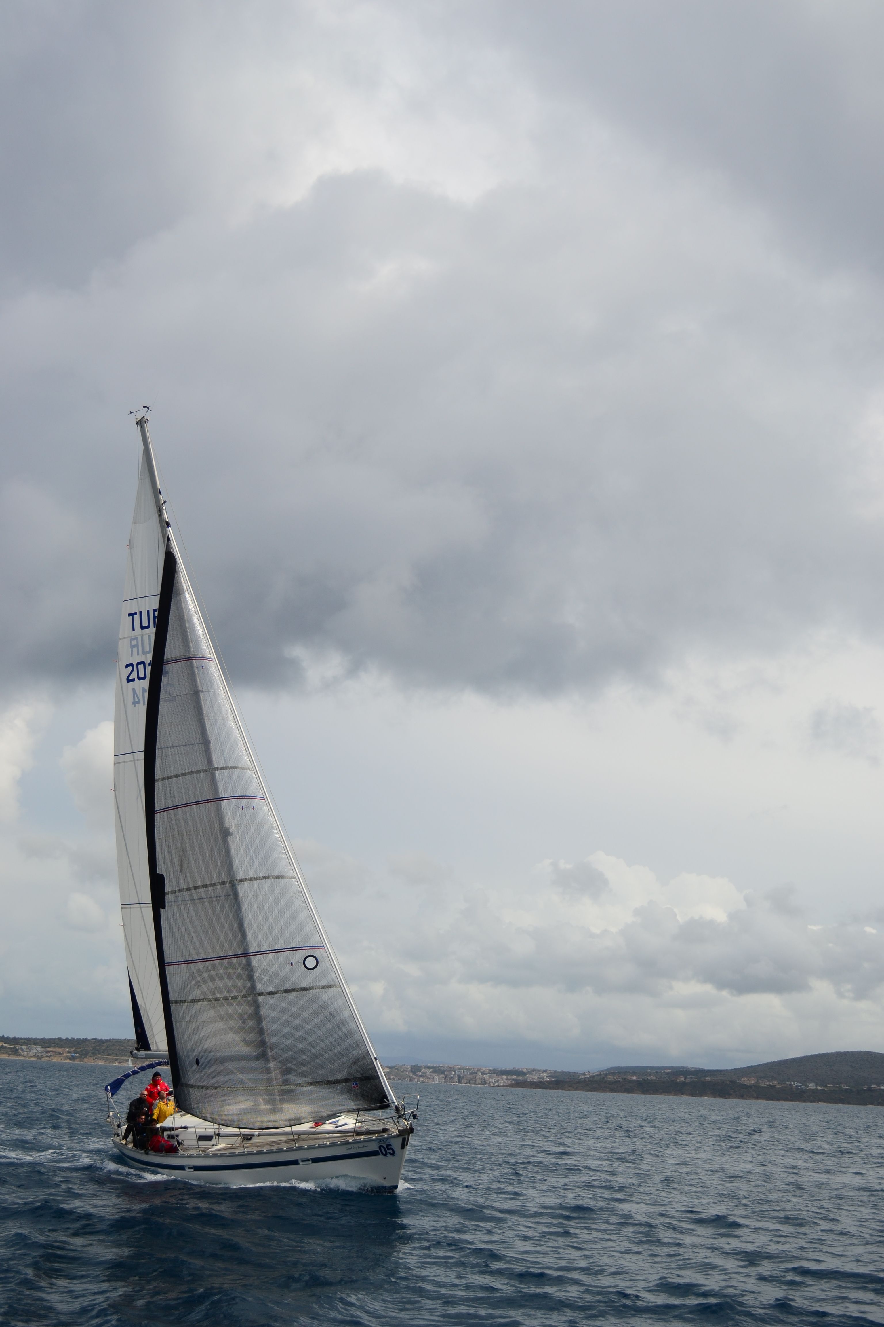 Sailboats in the Sea · Free Stock Photo