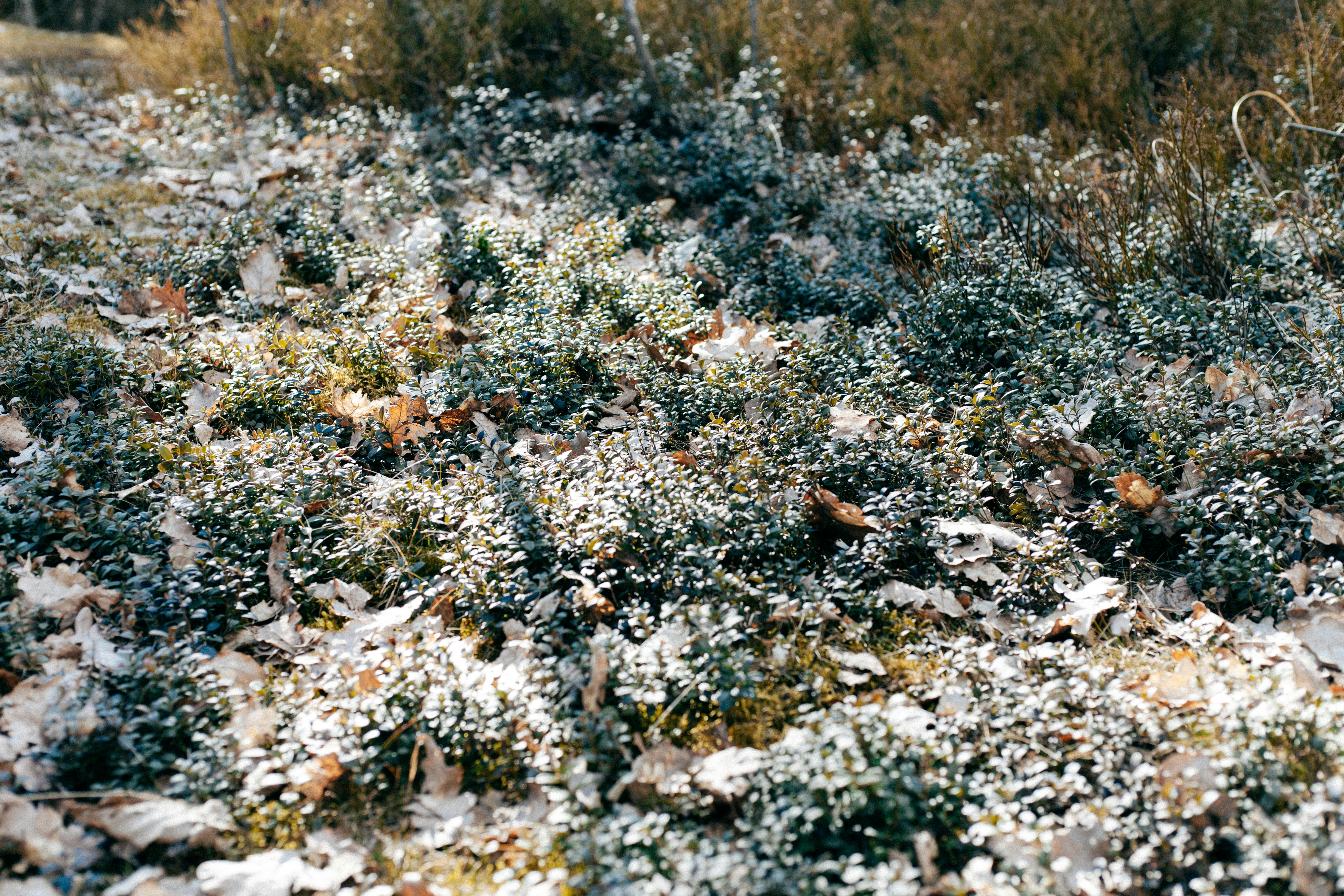 Ground From Above Photos, Download The BEST Free Ground From Above ...