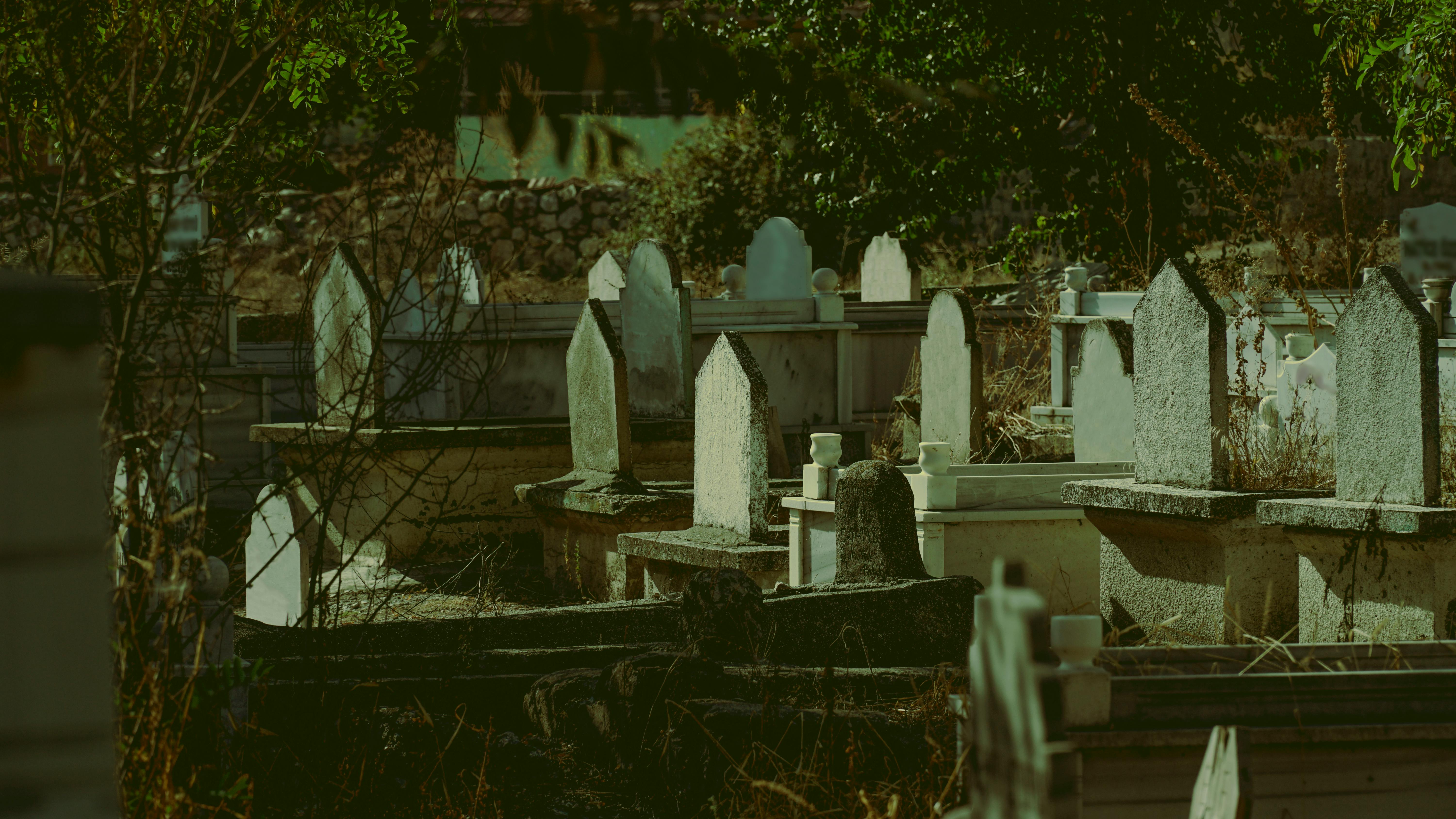 emre erol - Fotografie