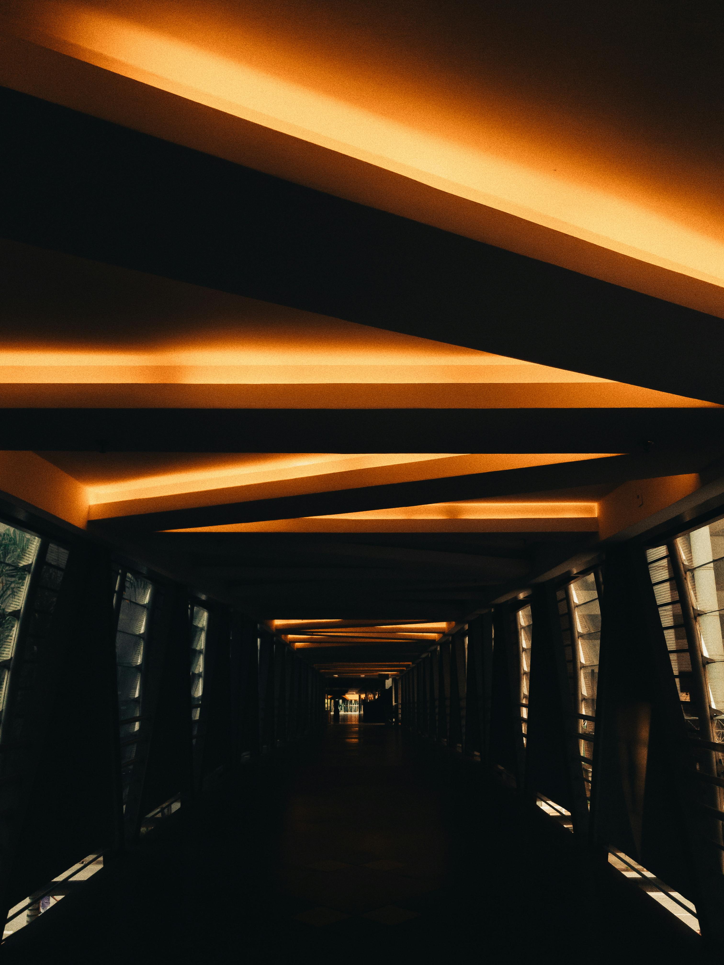 Bridge Neon Photos, Download The BEST Free Bridge Neon Stock Photos ...