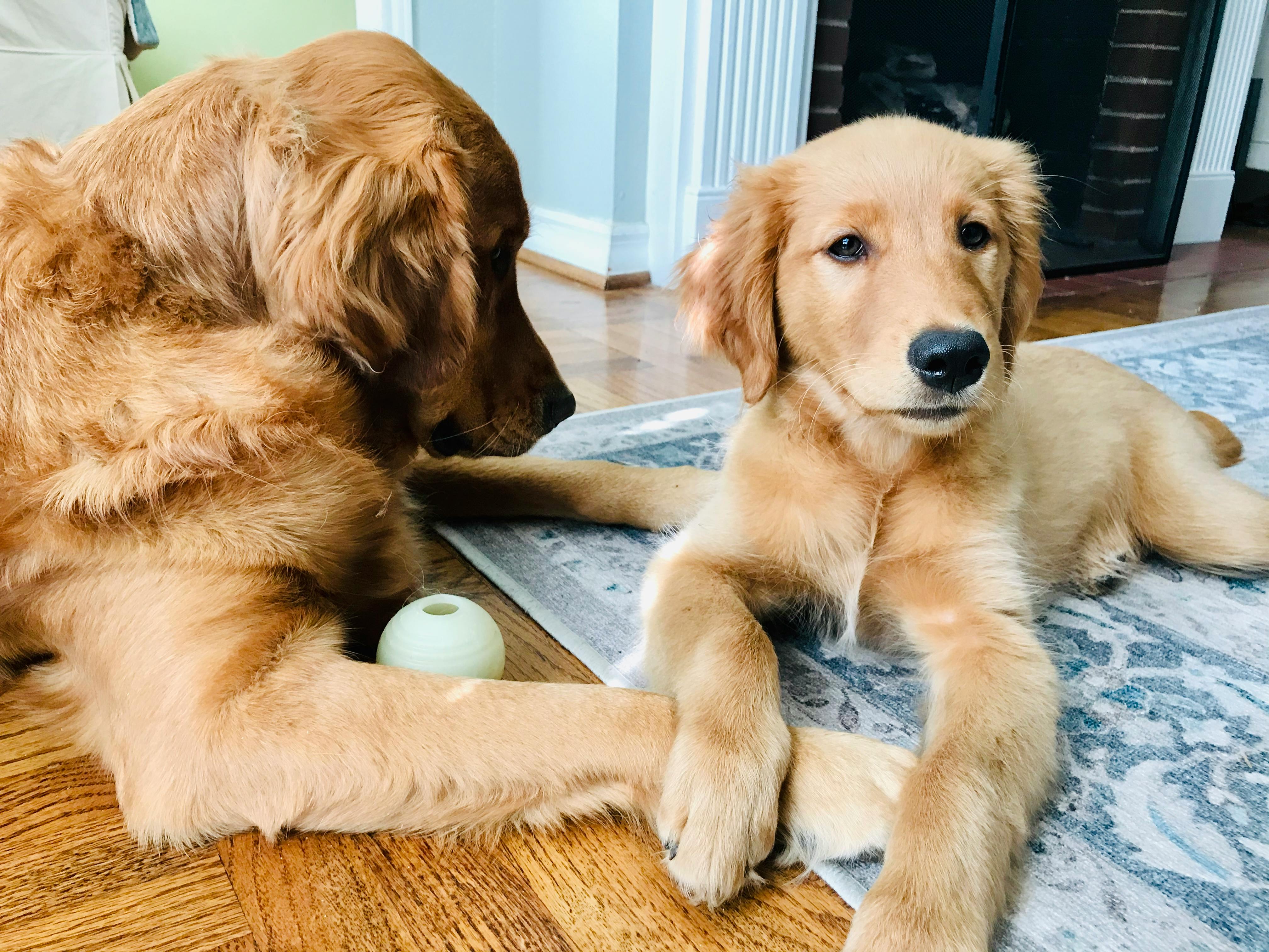 nathaniel w - 사진