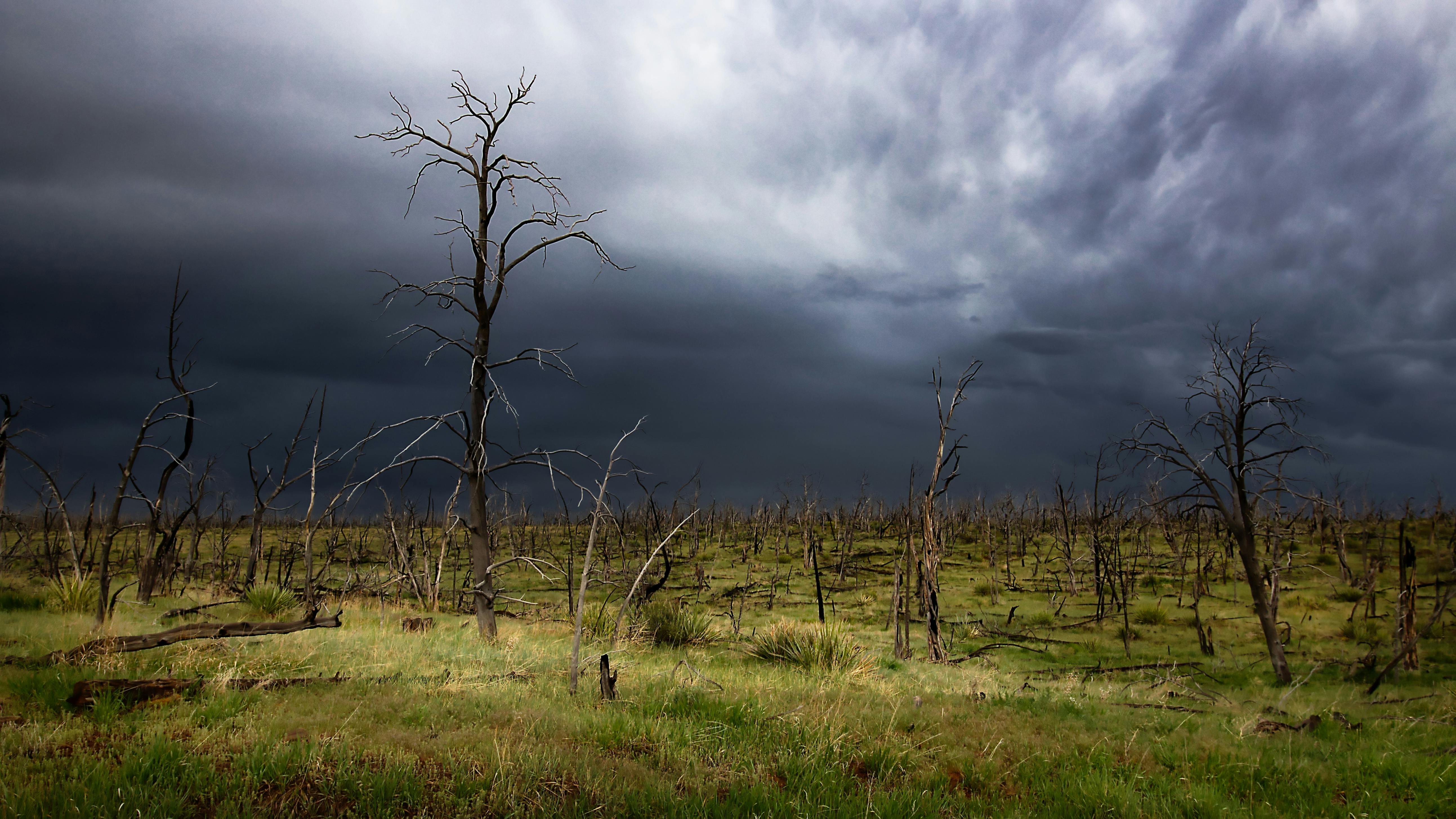 Best Ominous Photos · 100% Free Download · Pexels Stock Photos