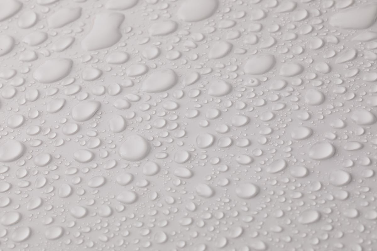 100+张最精彩的“Mariewithdds Onlyfans Leak”图片 · 100%免费下载 · Pexels素材图片