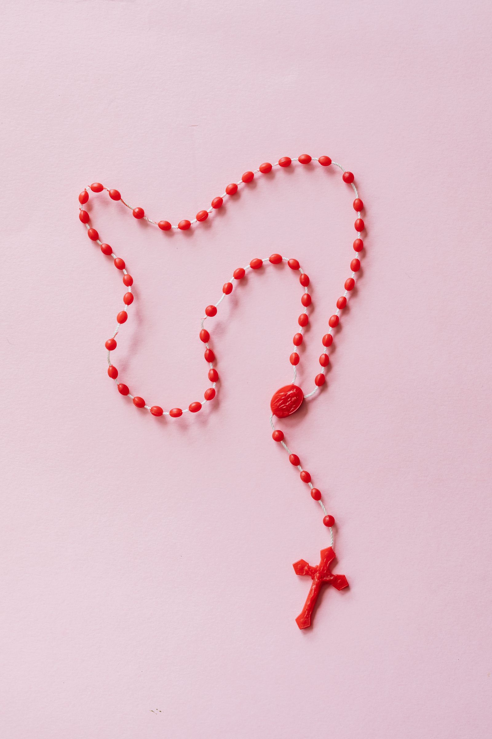 400+张最精彩的“Scorbutic Rosary”图片 · 100%免费下载 · Pexels素材图片