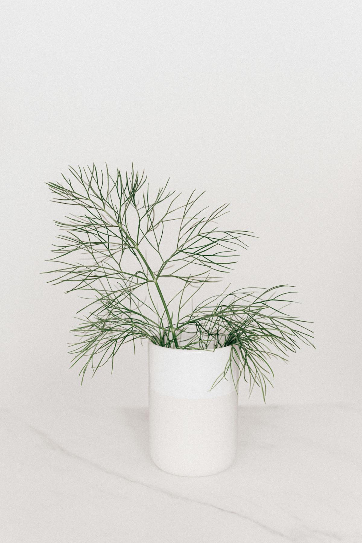 Plain Photos, Download The BEST Free Plain Stock Photos & HD Images