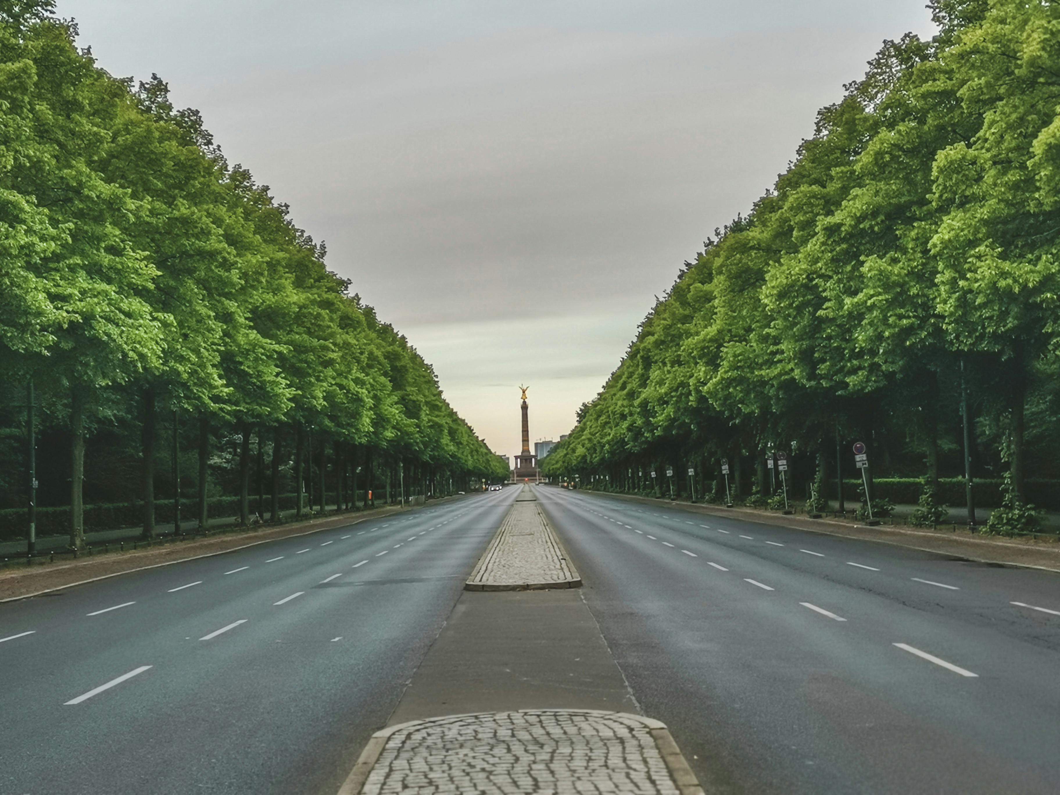 Road With Trees · Free Stock Photo