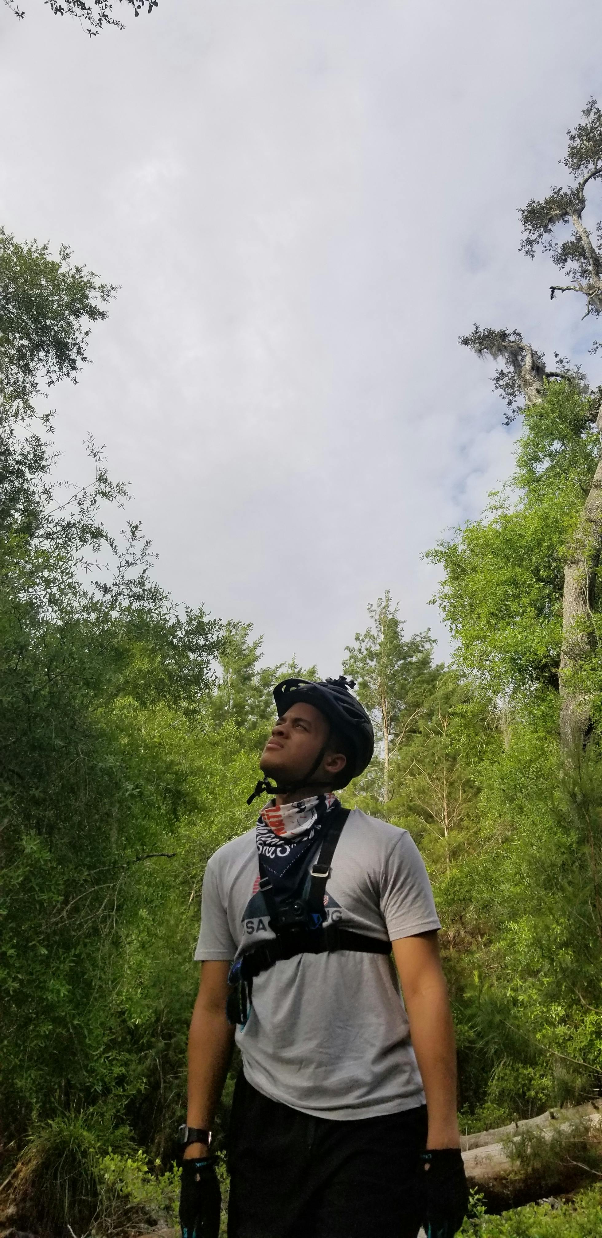 Free stock photo of boy, discovery, forest