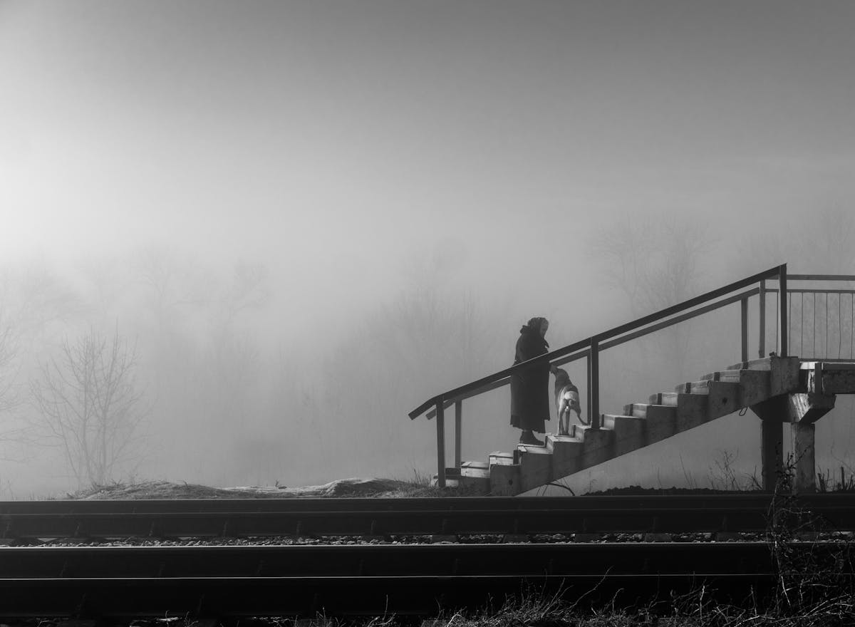 Dog Lifespan Chart: Life Expectancy by Breed and Size