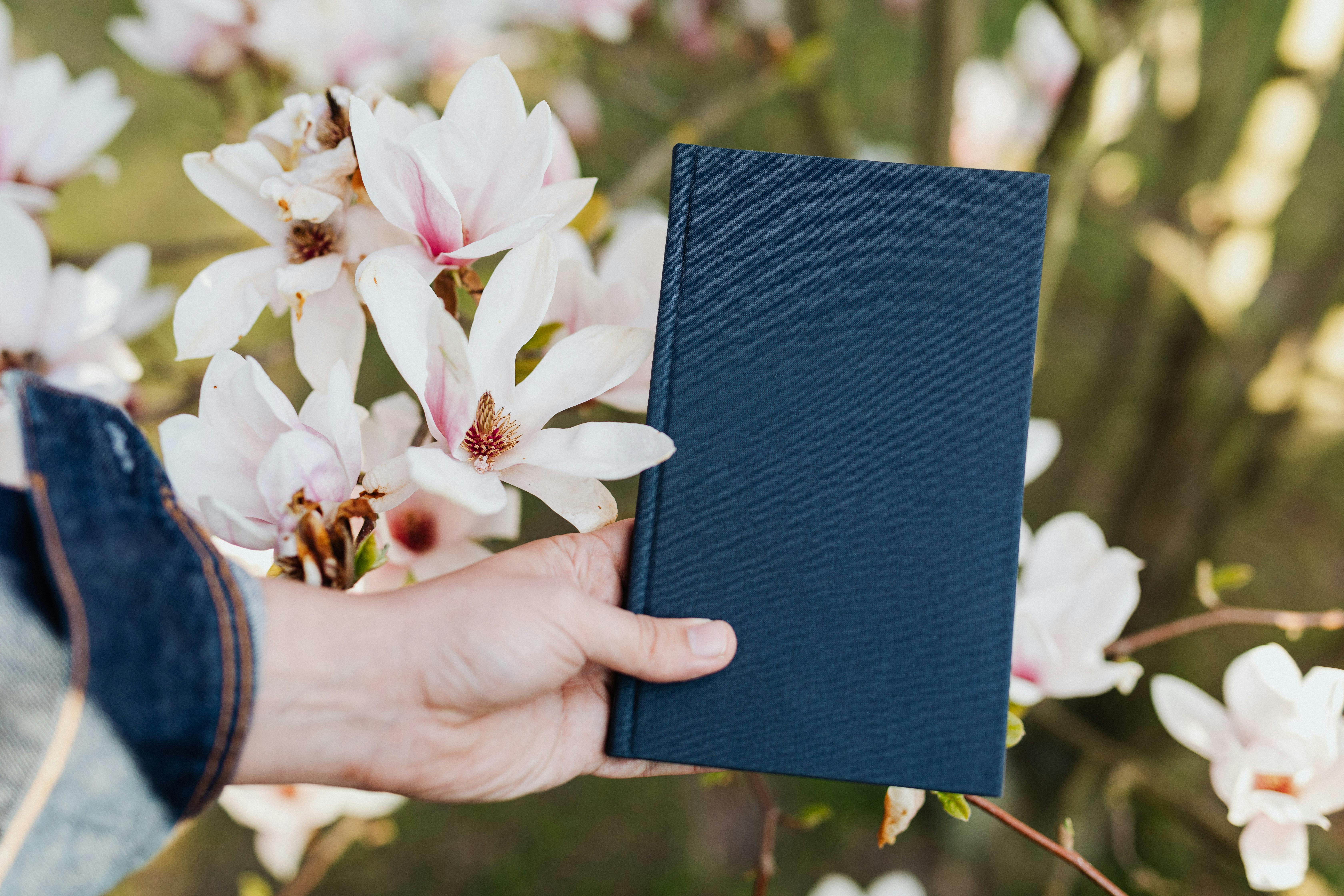 Close The Book Photos, Download The BEST Free Close The Book Stock ...