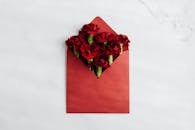 More 350 Envelope Synonyms. Similar words for Envelope.