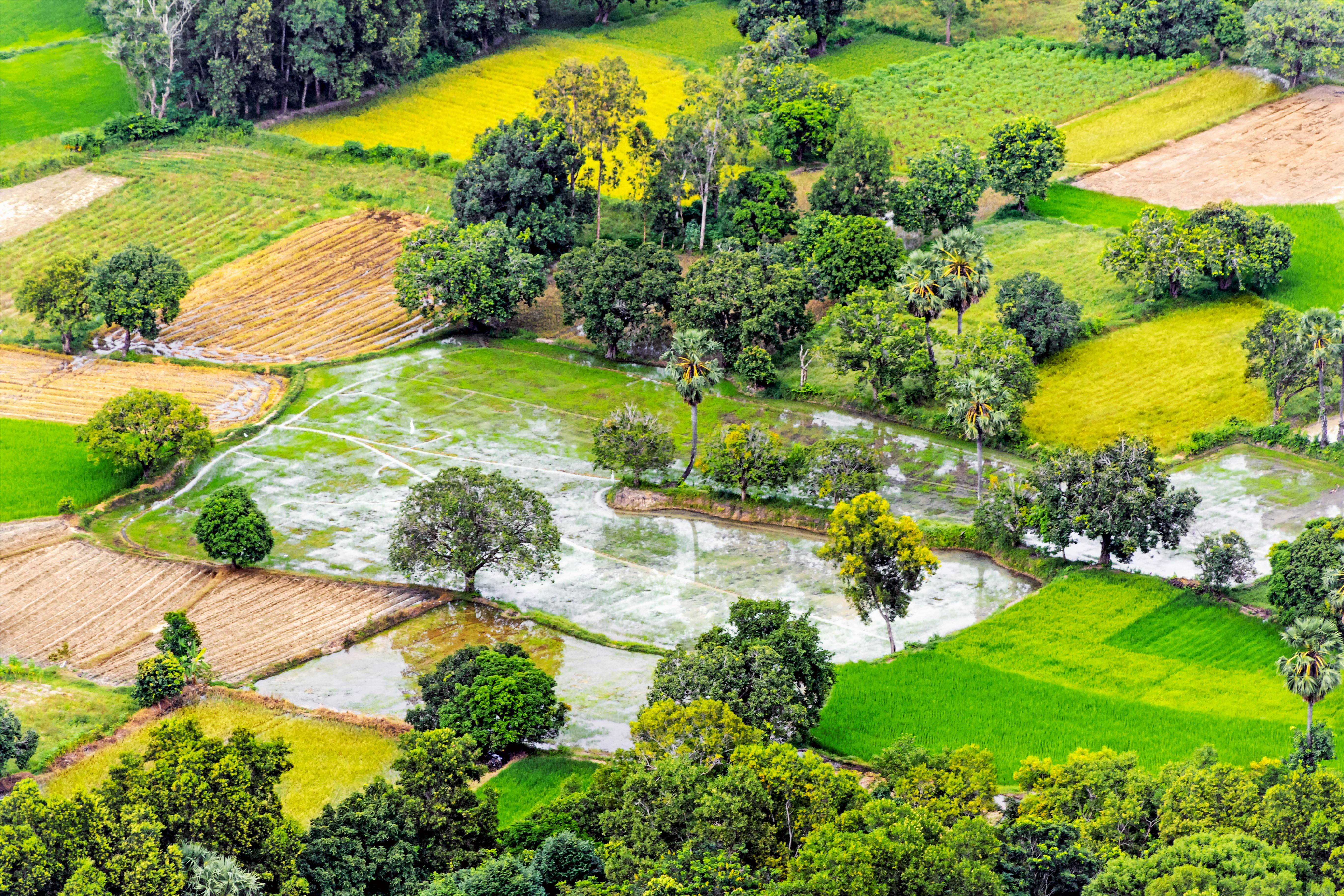 Aerial Photo of a Farmland · Free Stock Photo
