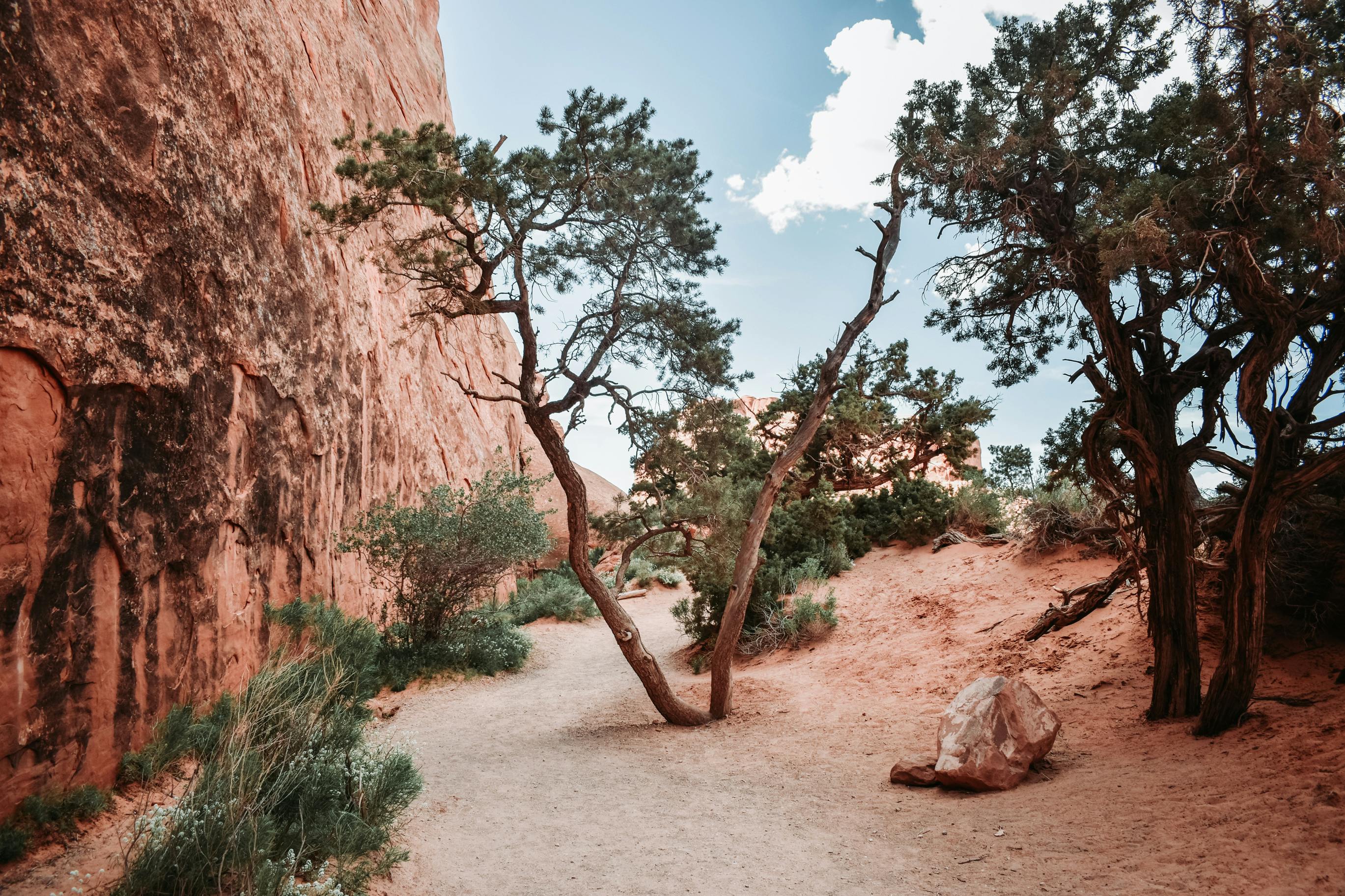 Utopia Photos, Download The BEST Free Utopia Stock Photos & HD Images