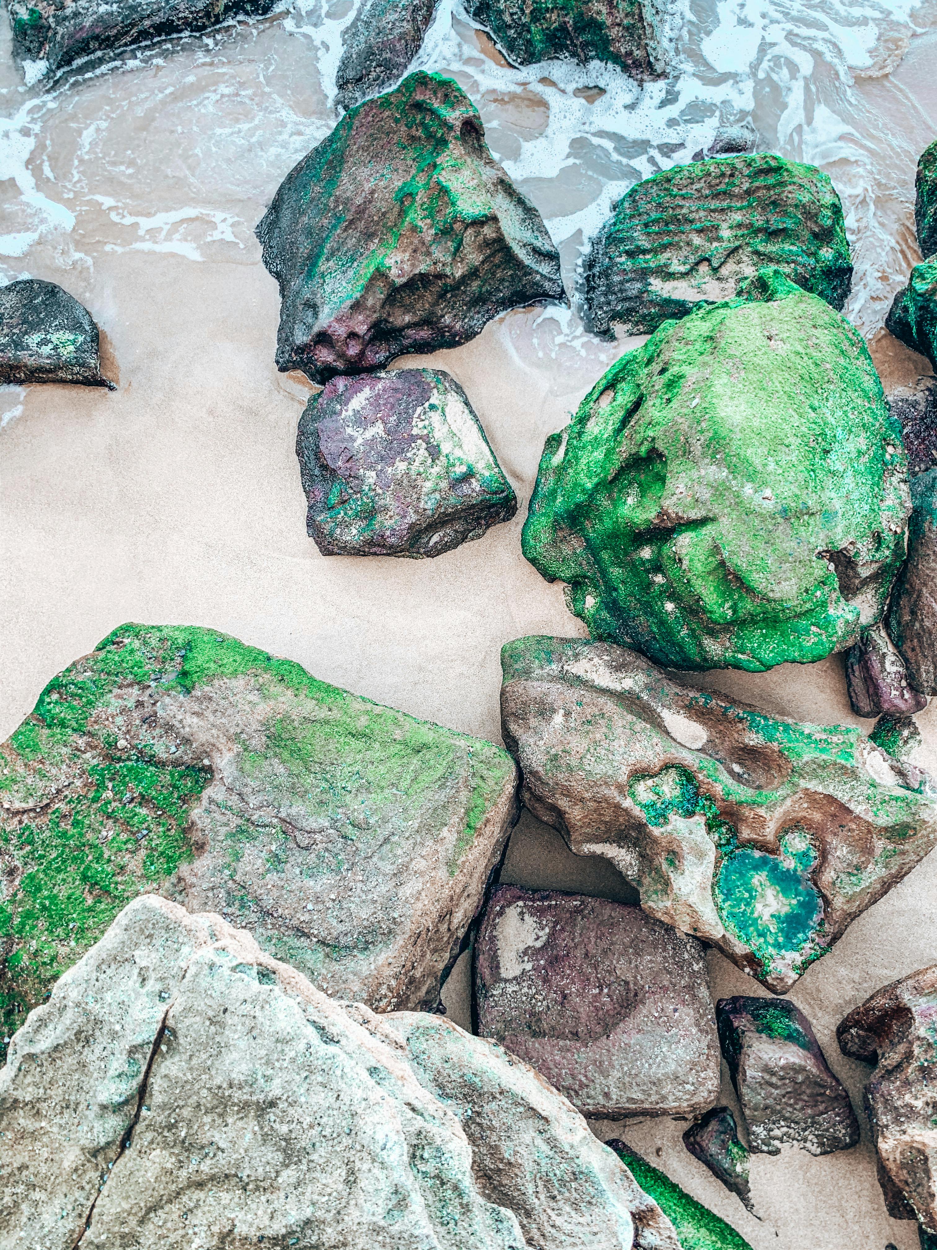 Chelsea Cook · Photography