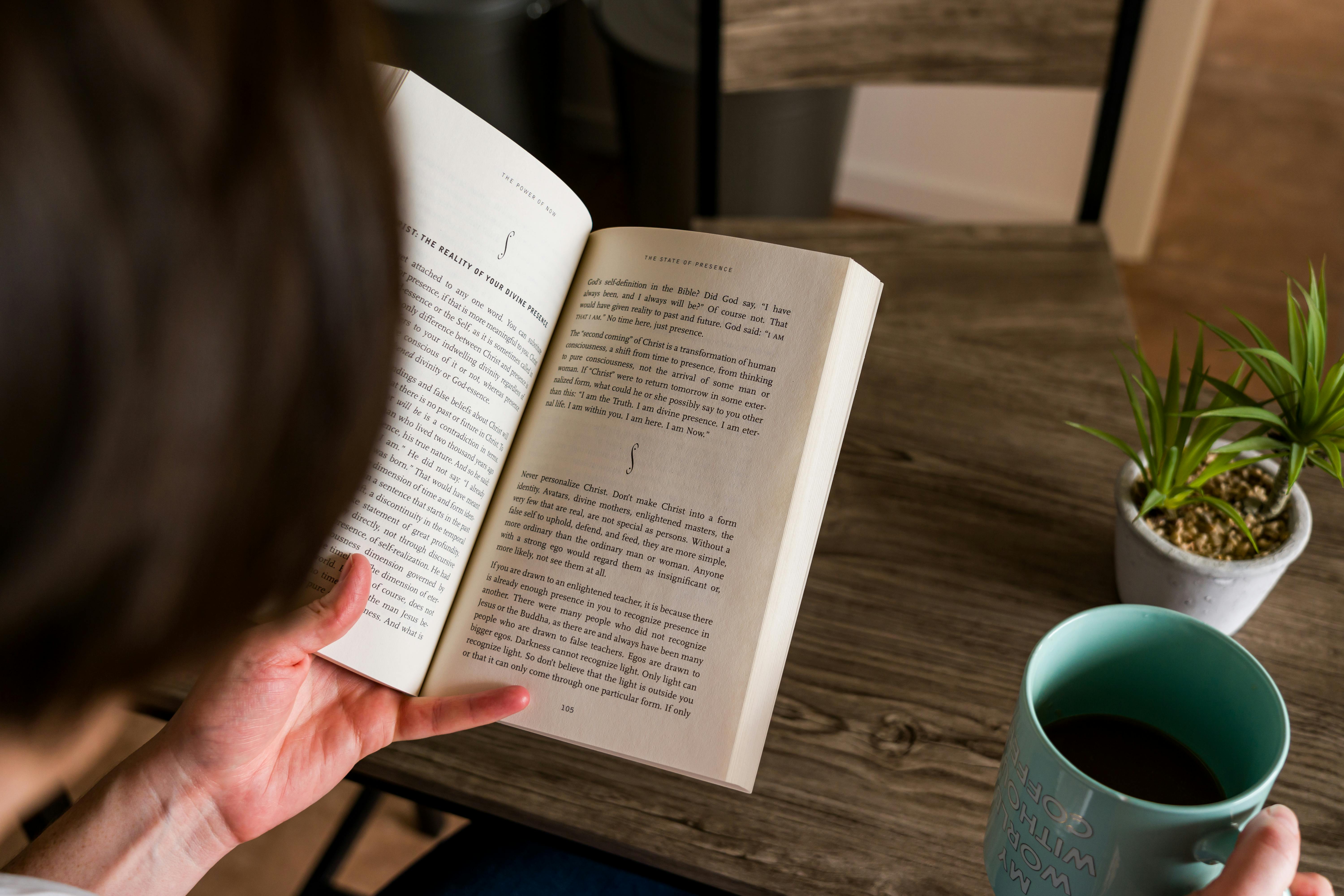 Person Holding a Book · Free Stock Photo