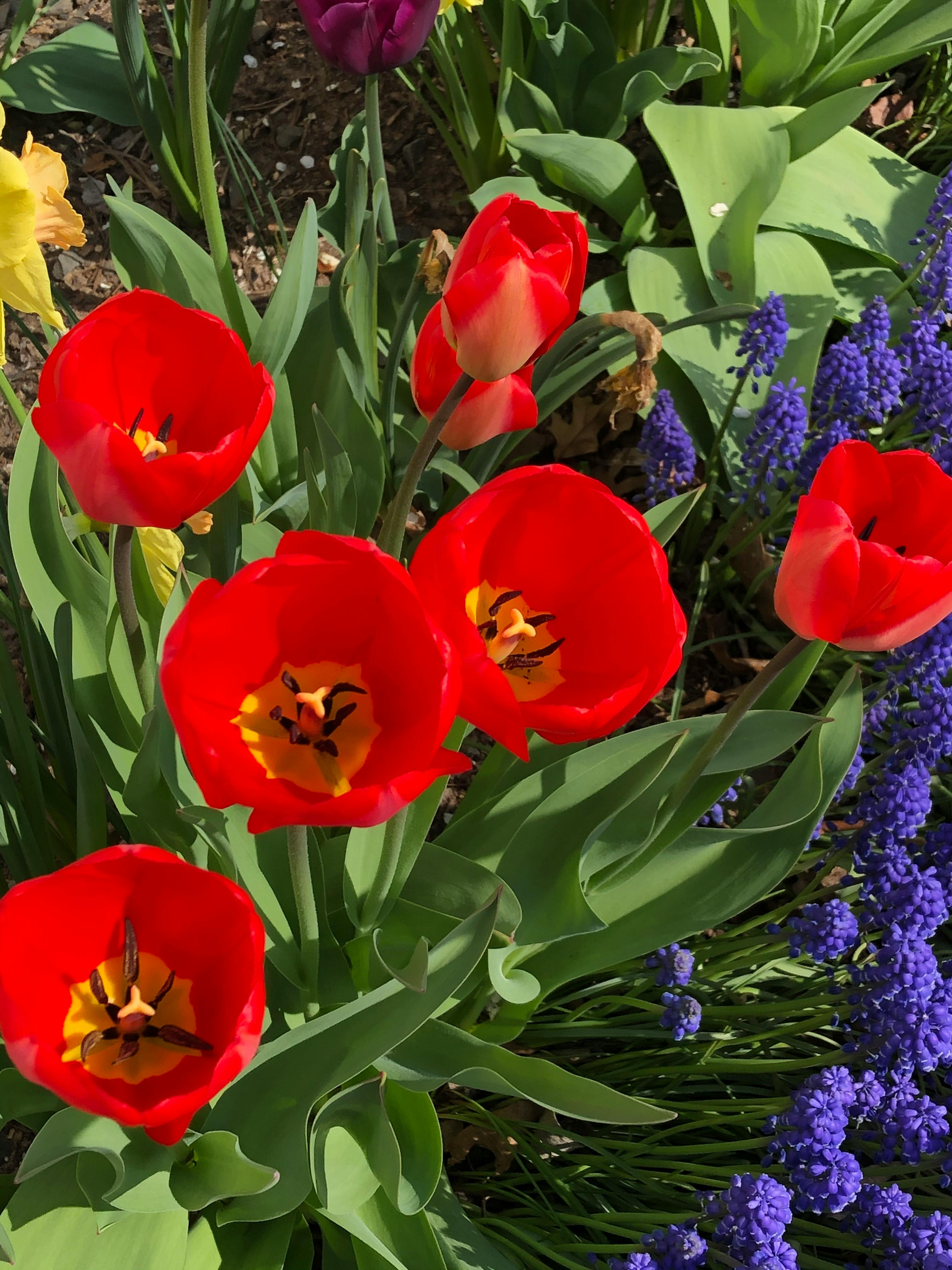 Chantal Raven - 摄影