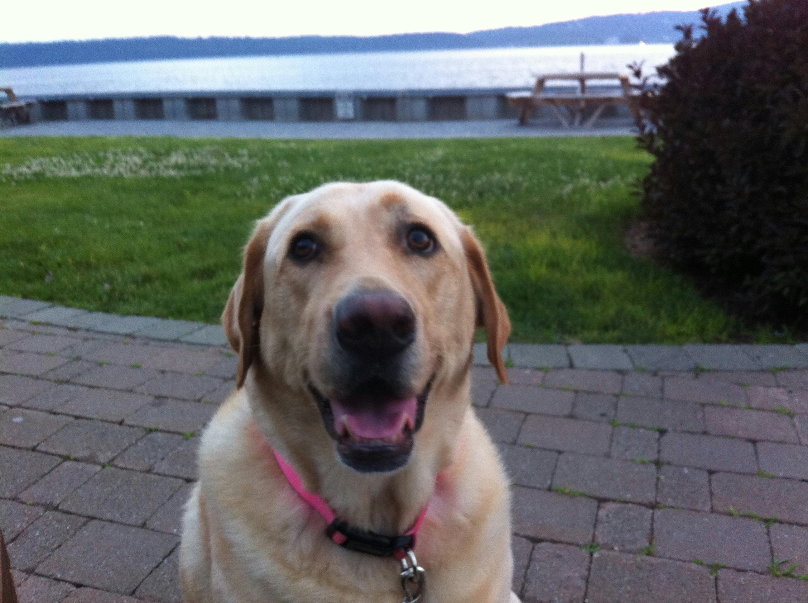 Chantal Raven - 摄影